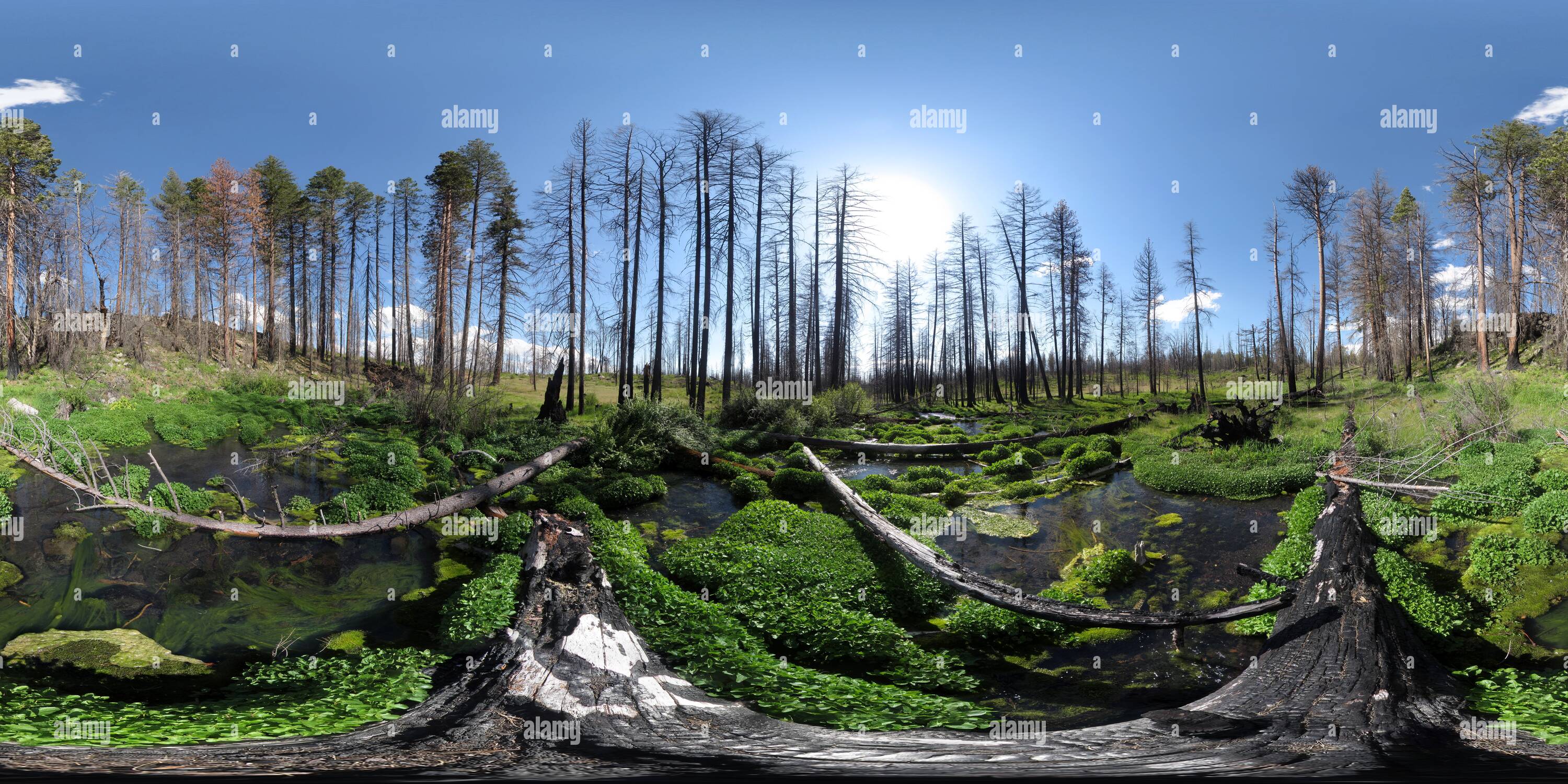 360° view of Shoat Spring [1] - Alamy