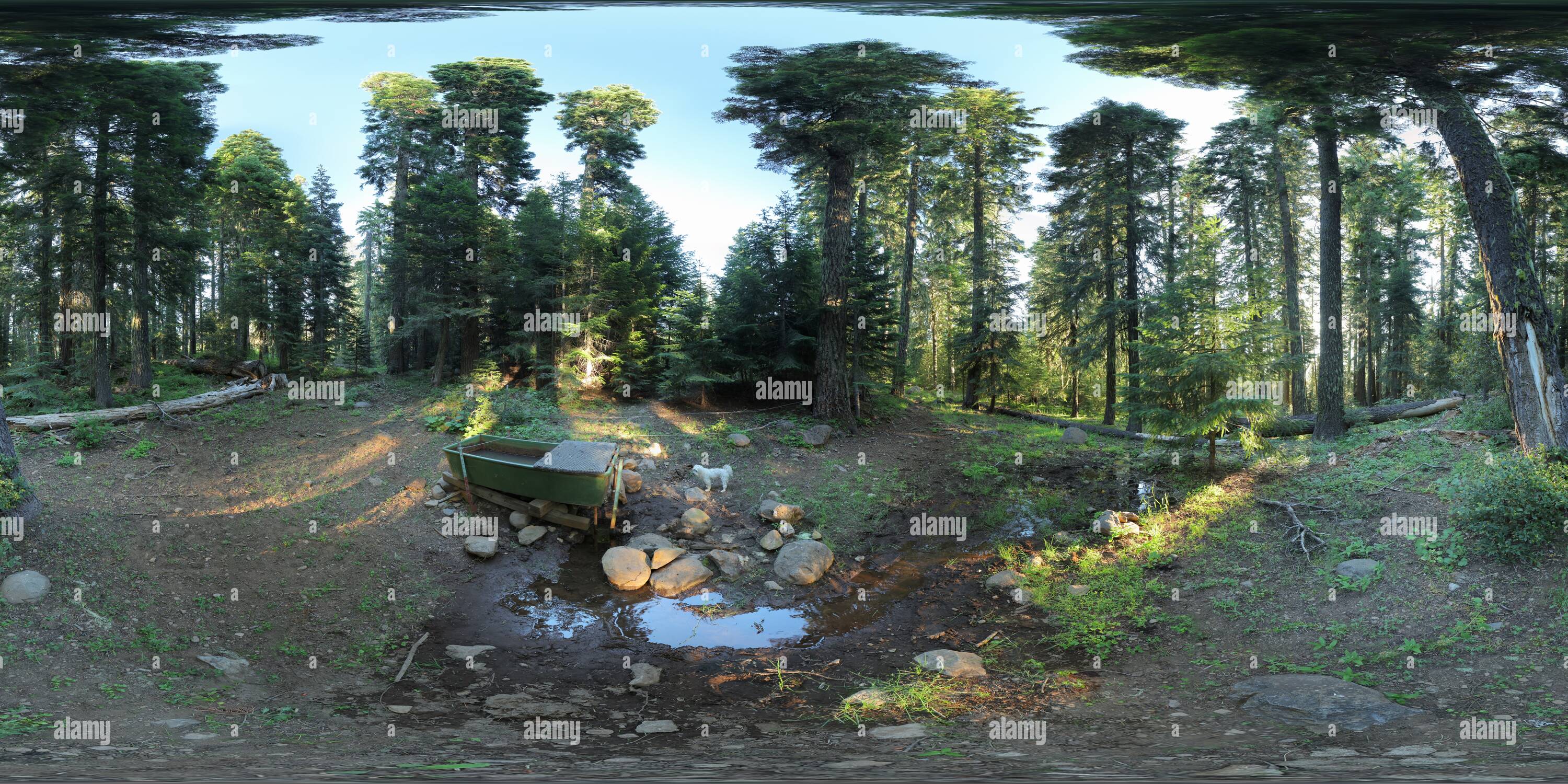 360° view of Rye Spring water trough - Alamy