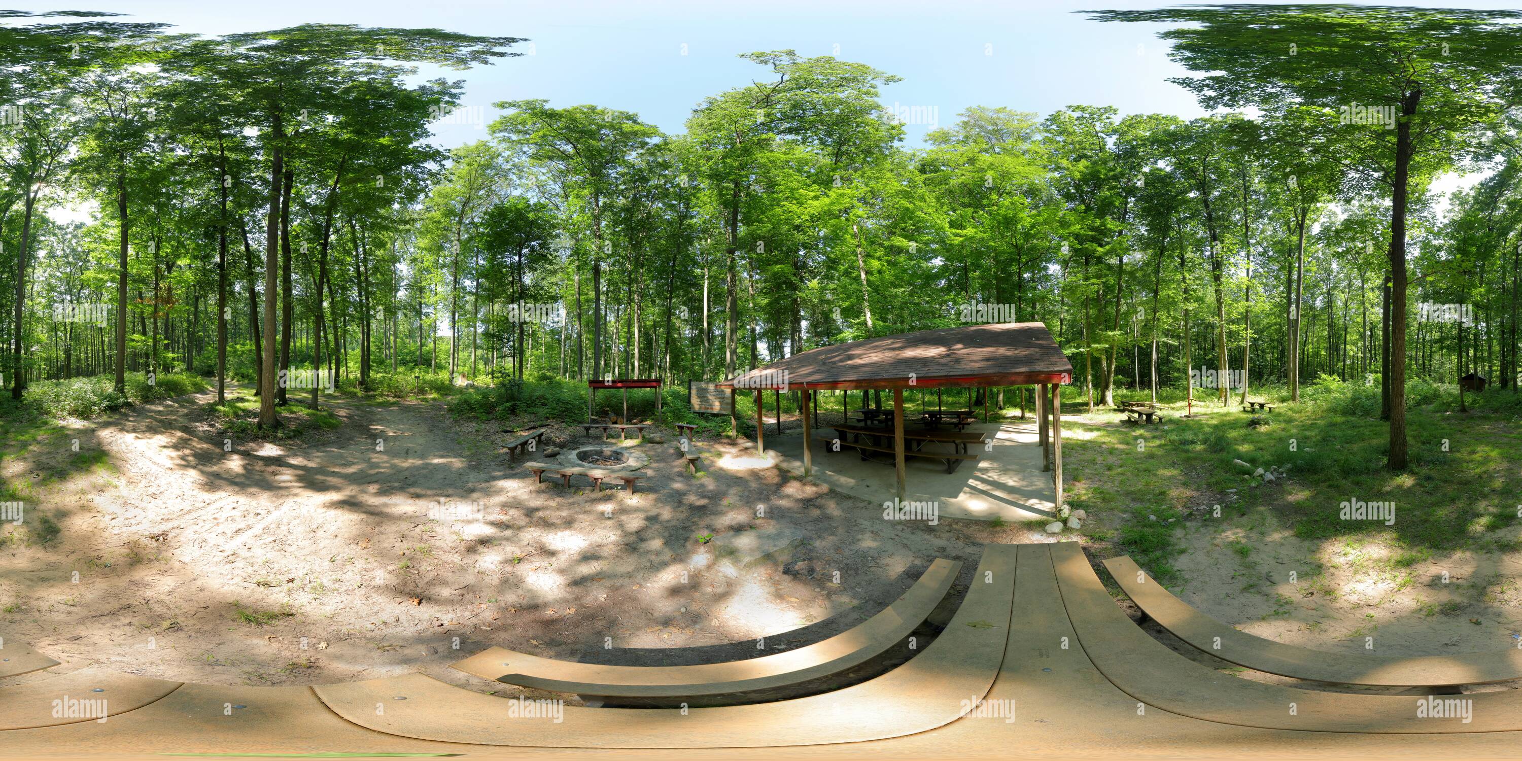360° view of Comden Towle Model Forest [1] - Alamy