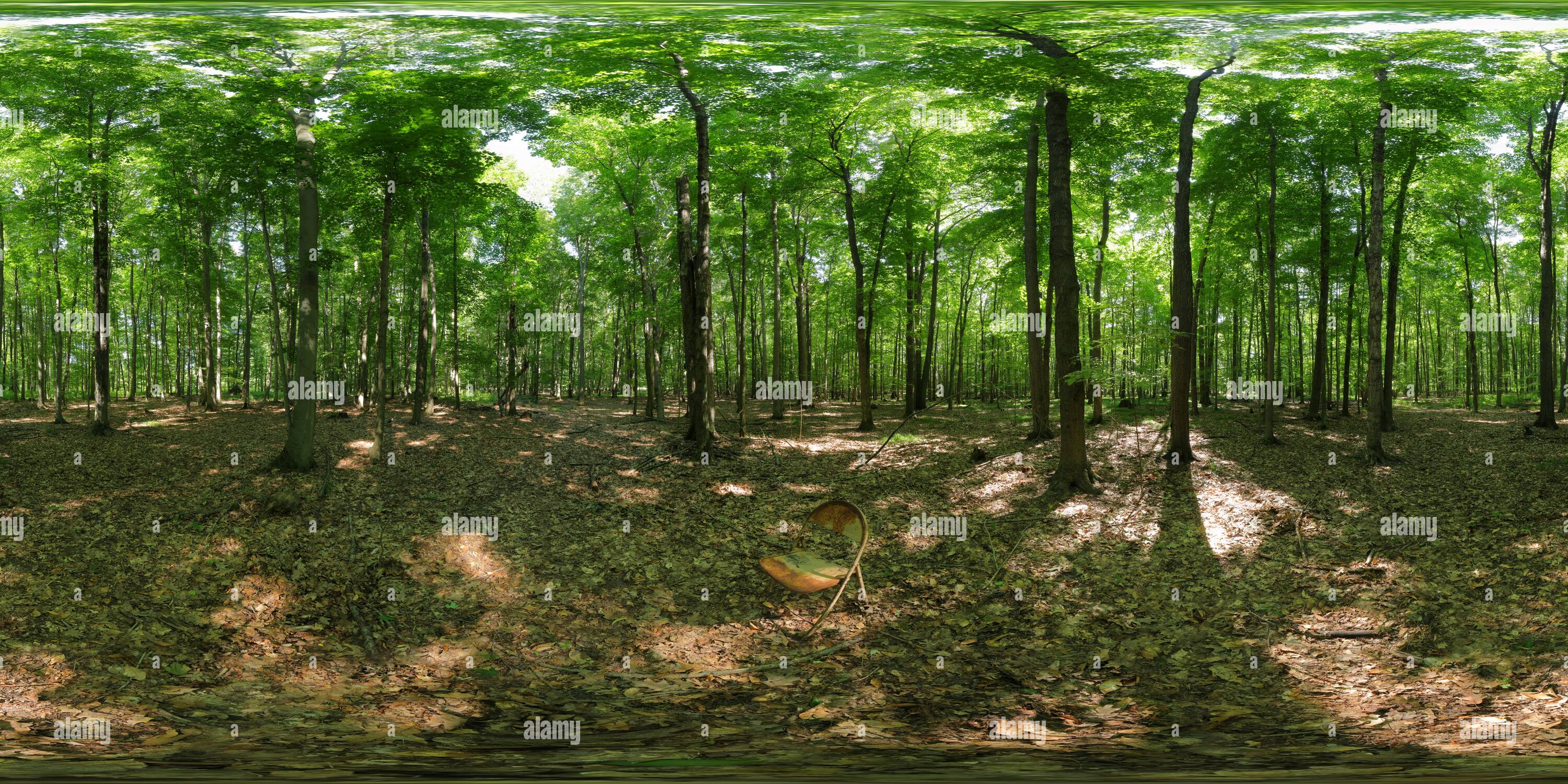 360° view of Comden Towle Model Forest [2] - Alamy