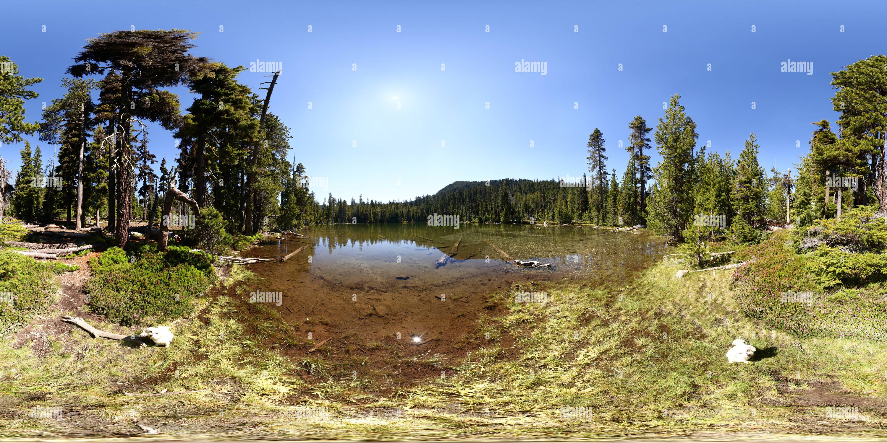 Frog lake oregon hi-res stock photography and images - Alamy