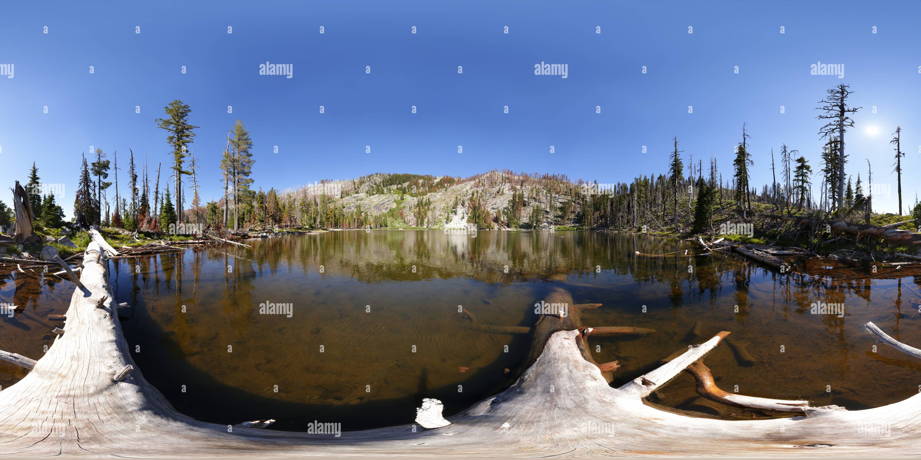 360° view of Pine Lake - Alamy
