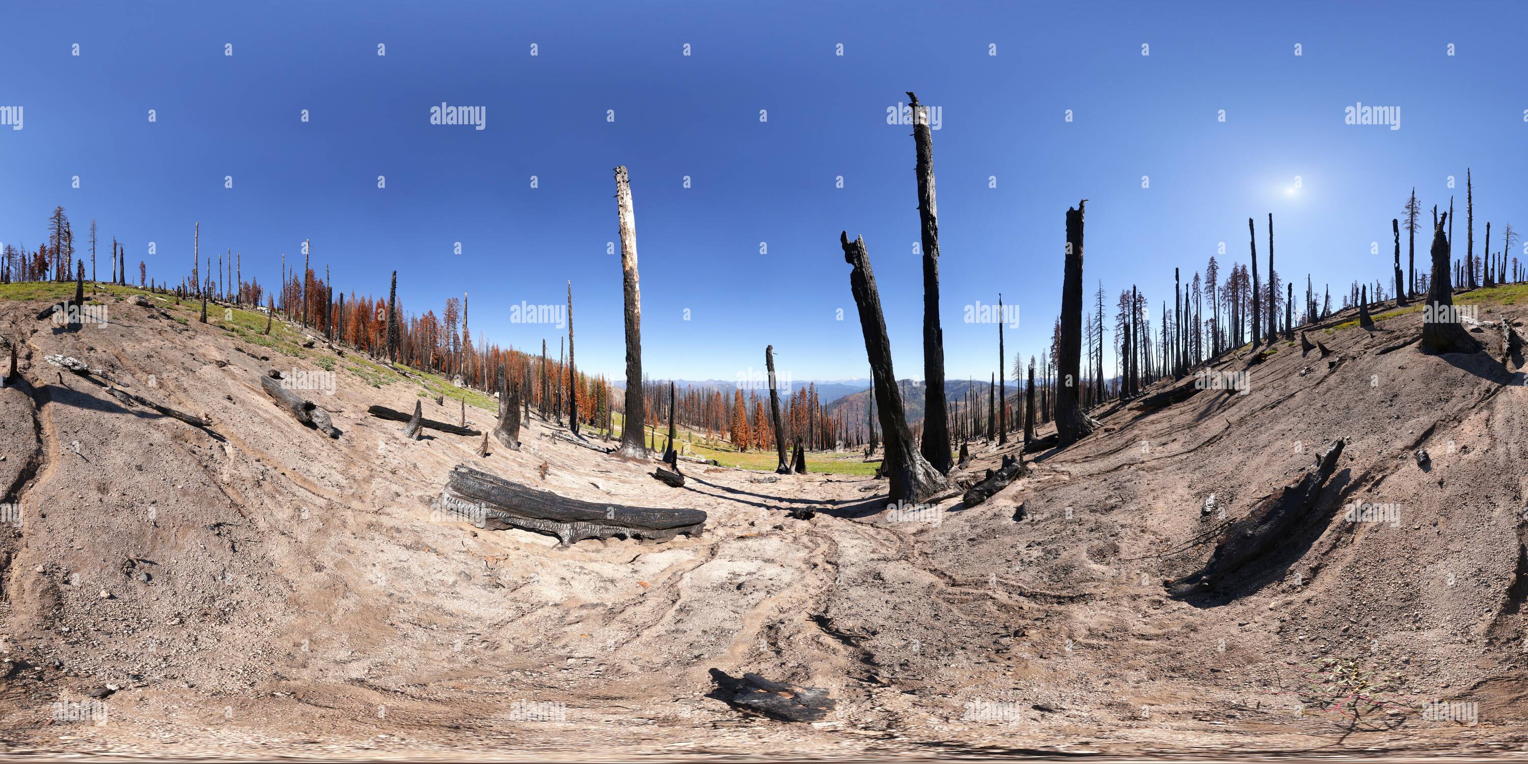 360° view of Island Fire aftermath [1] - Alamy