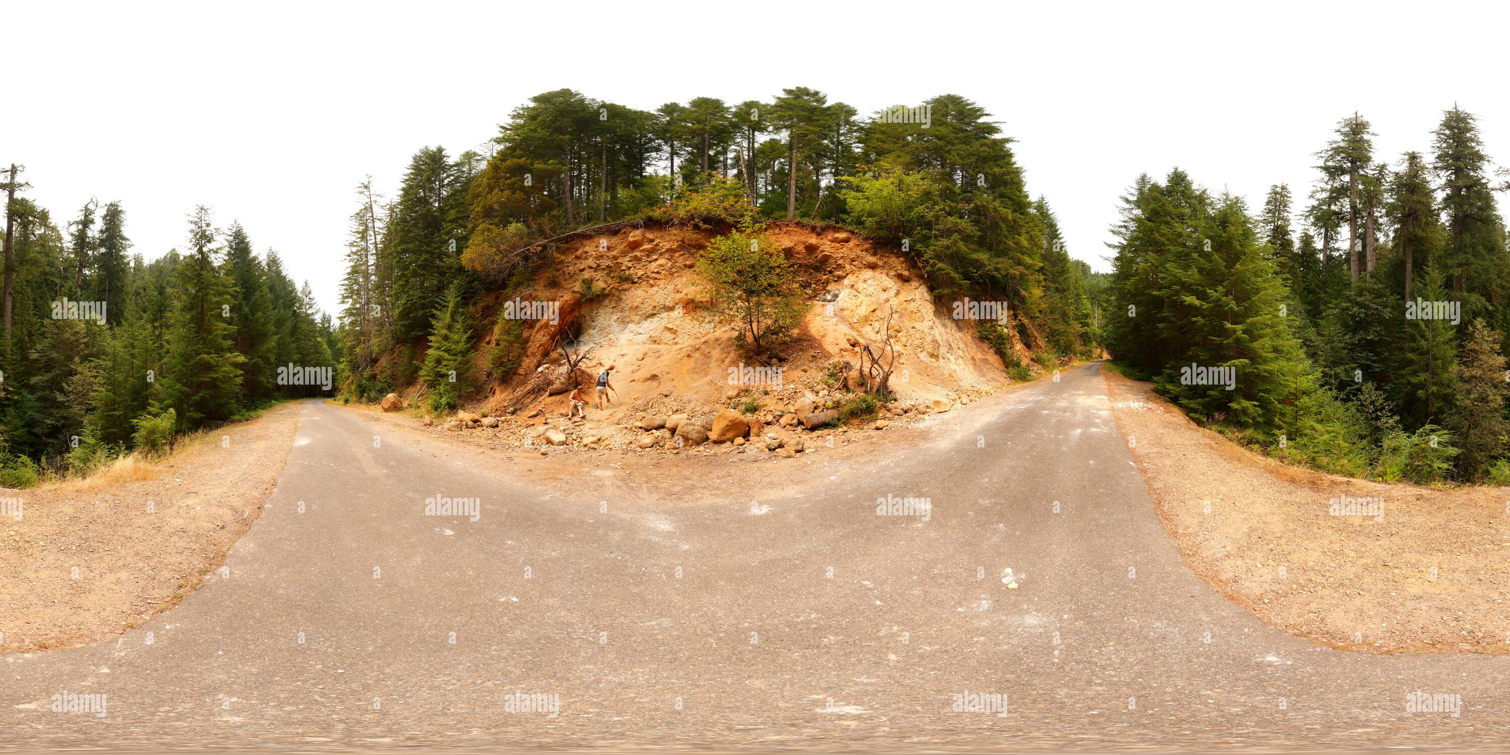 Roadcut hi-res stock photography and images - Alamy