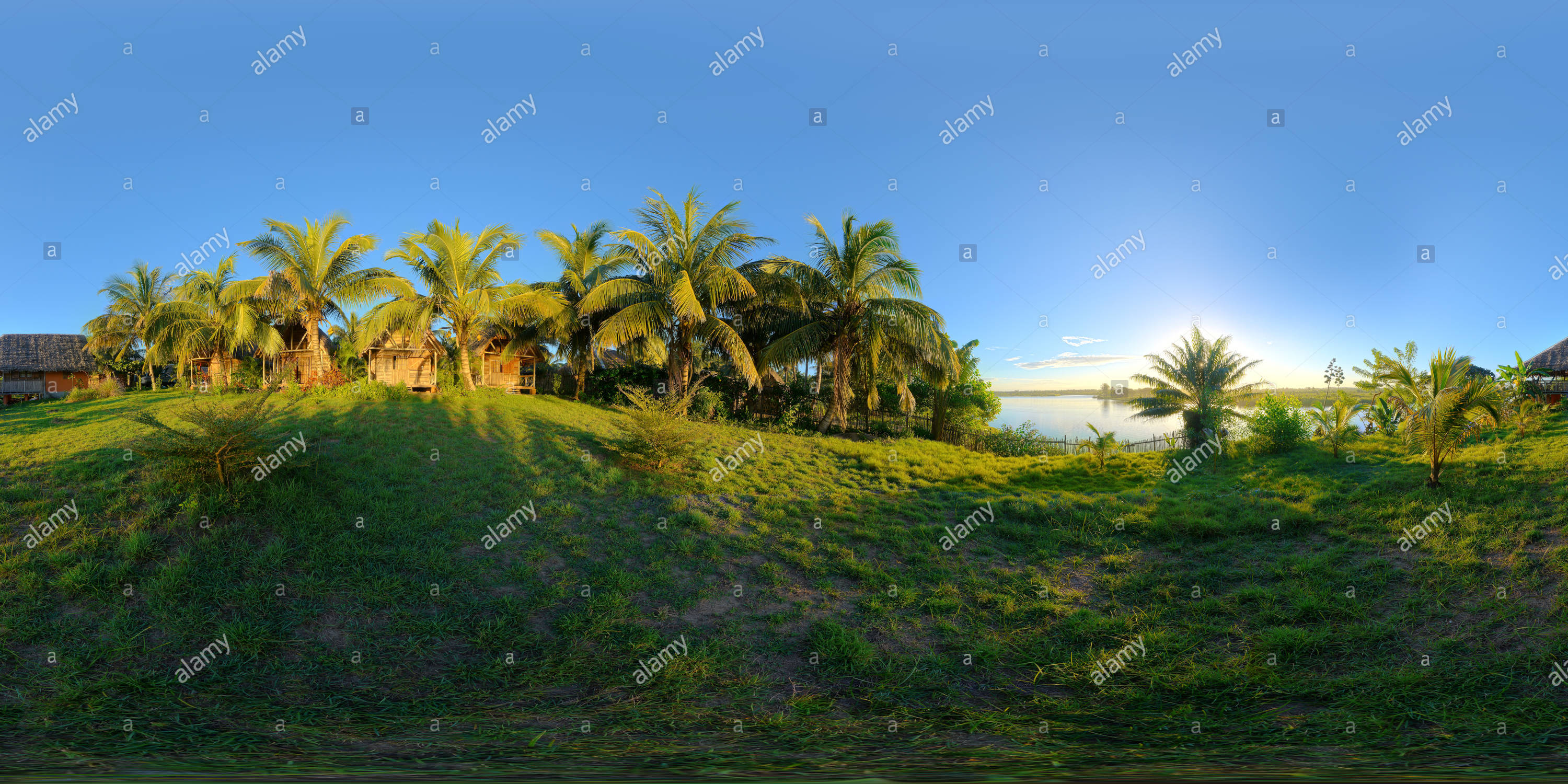 Manakara Stock Photos & Manakara Stock Images - Alamy