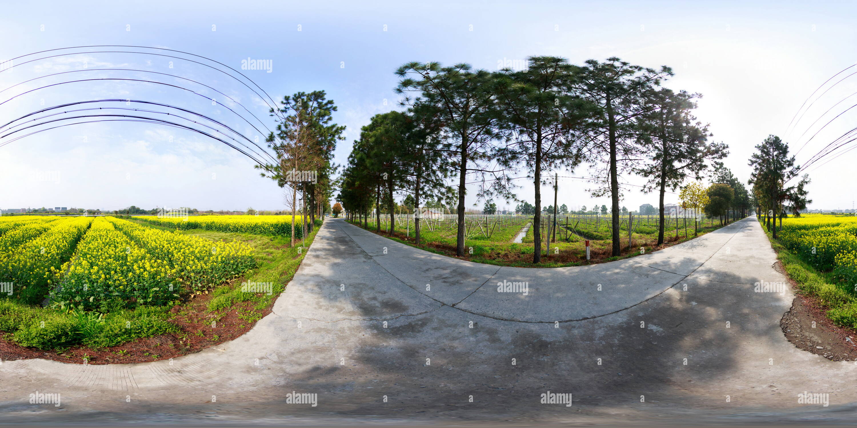 360° view of Dongtang Cun 105 - Alamy