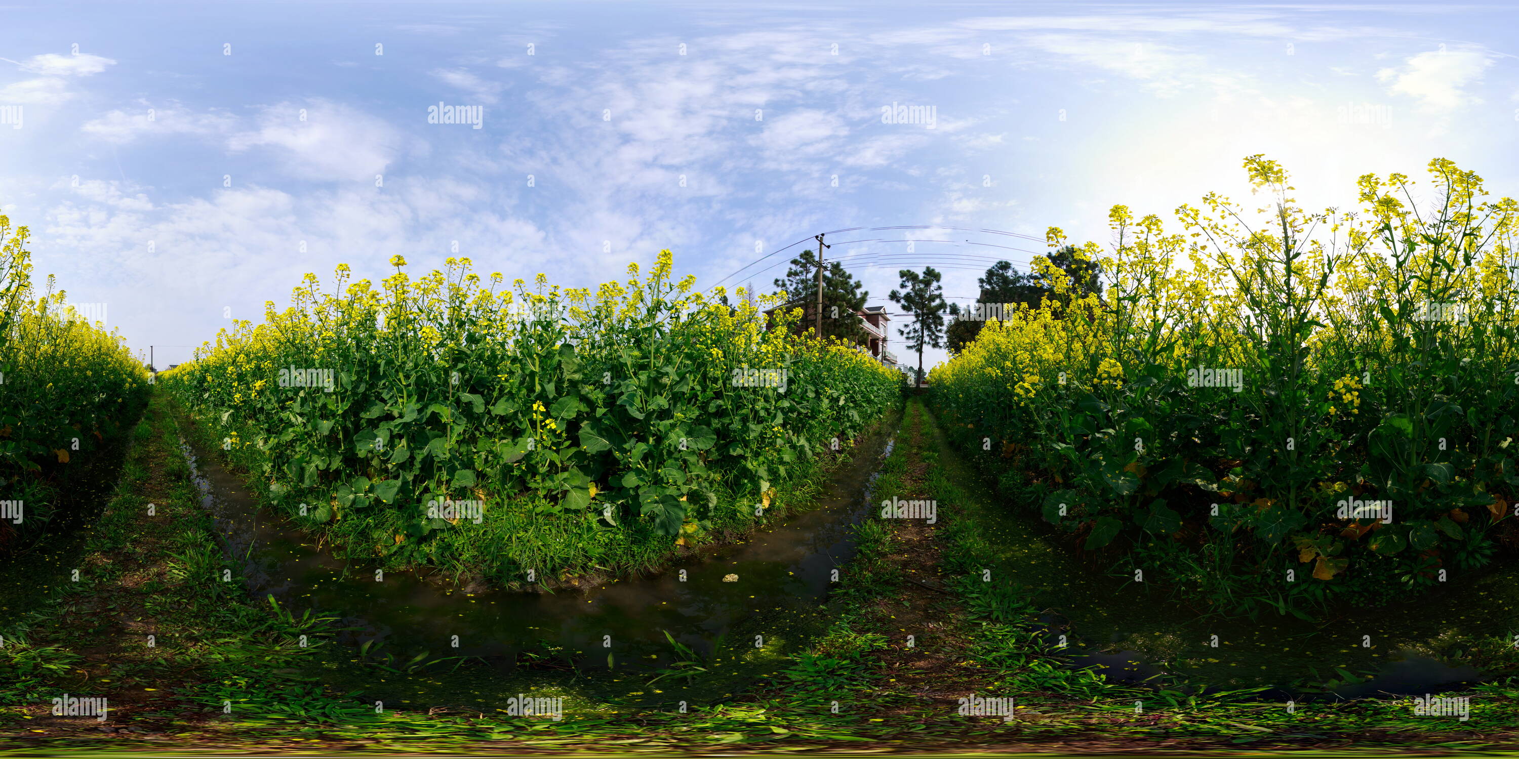 Dongtang High Resolution Stock Photography and Images - Alamy