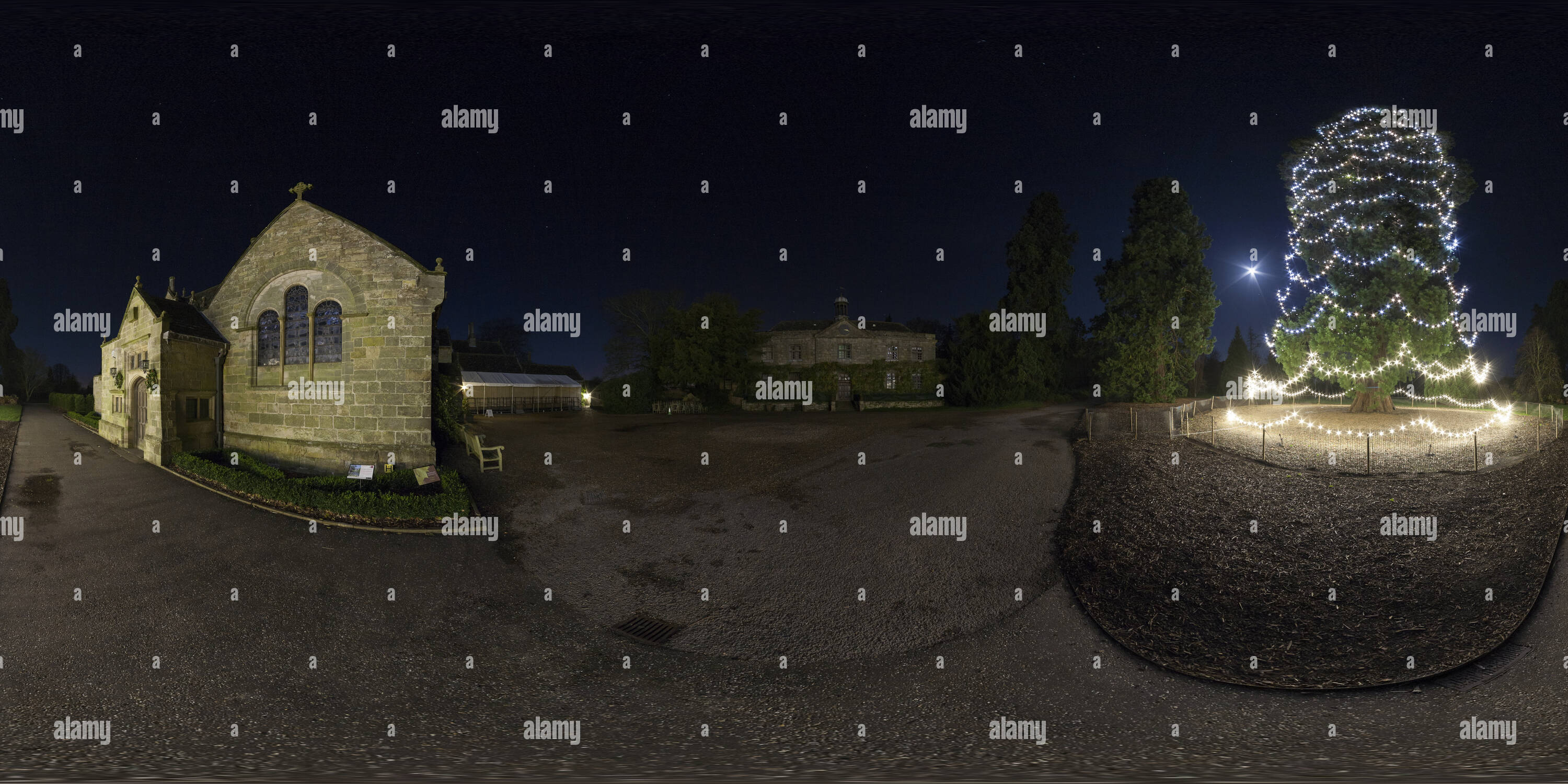 Wakehurst place christmas tree hi-res stock photography and images - Alamy