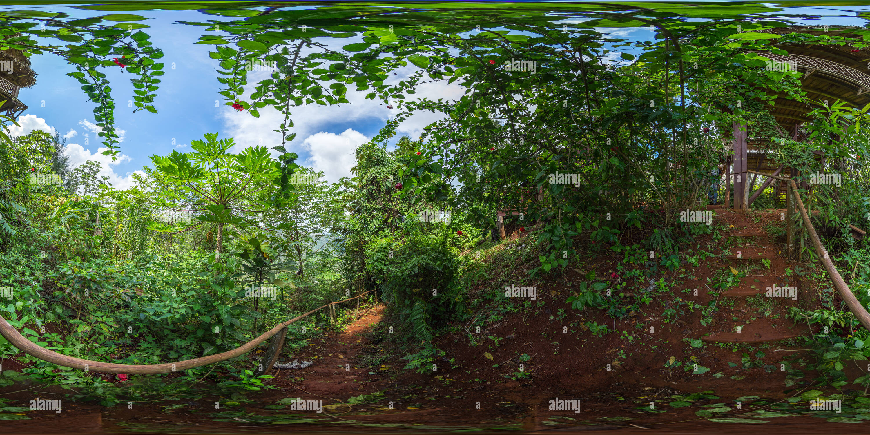 360° view of Nationalpark Pinares de Mayari - Kuba - Alamy