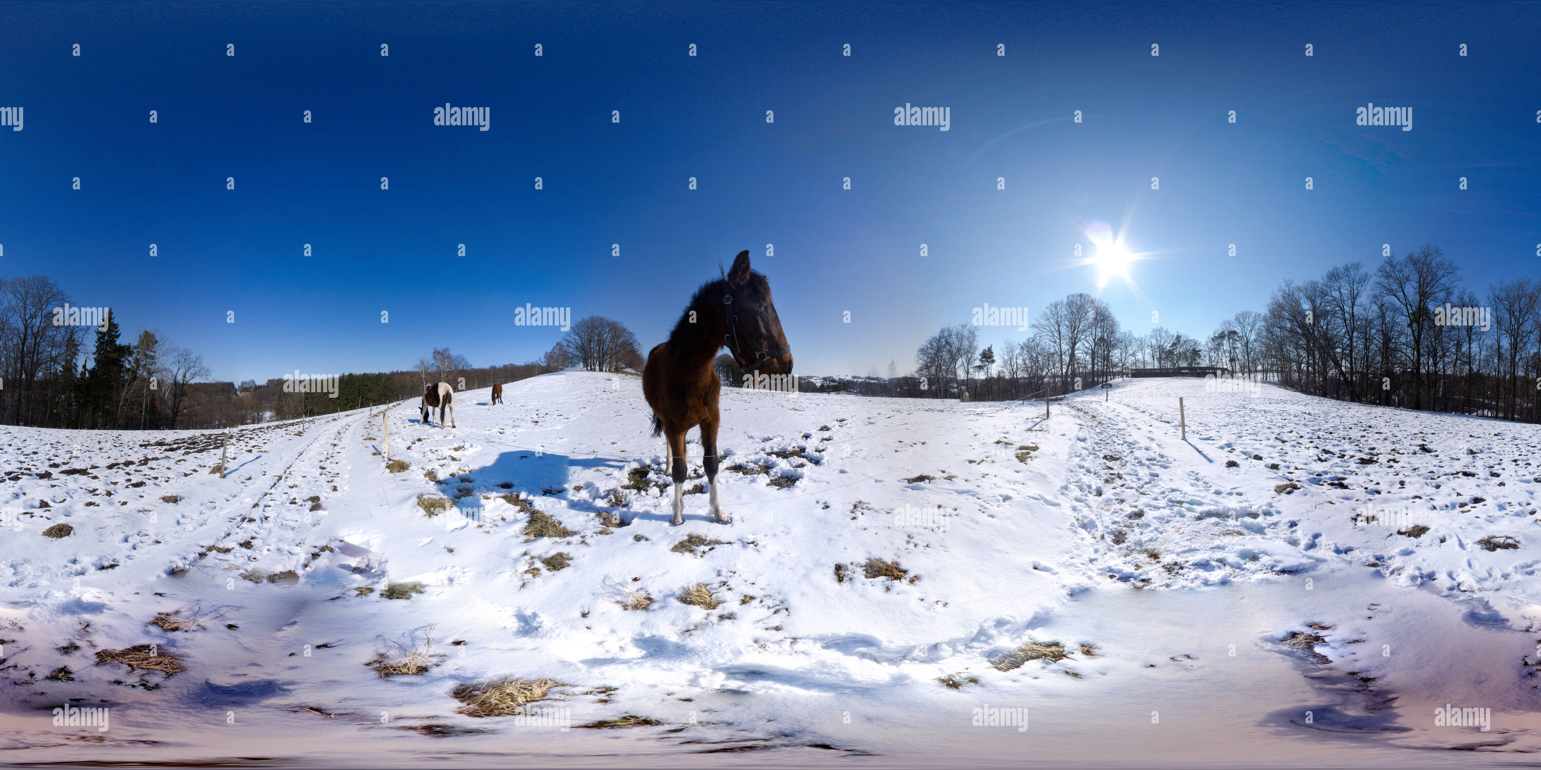 360° view of 1200373 140 Panorama Copy - Alamy