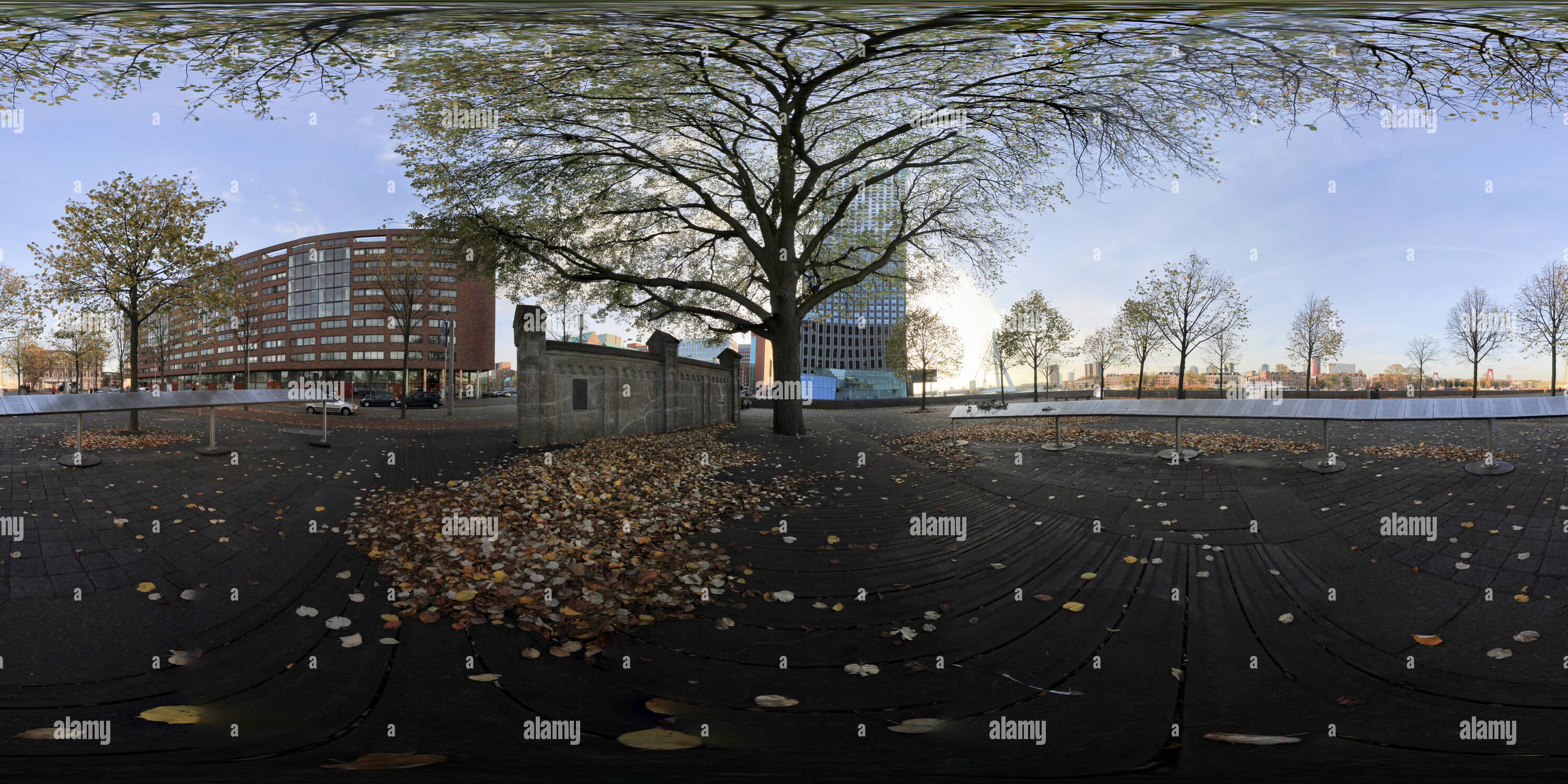 360° view of Eva Cohen-Hartogkade, Rotterdam - Alamy