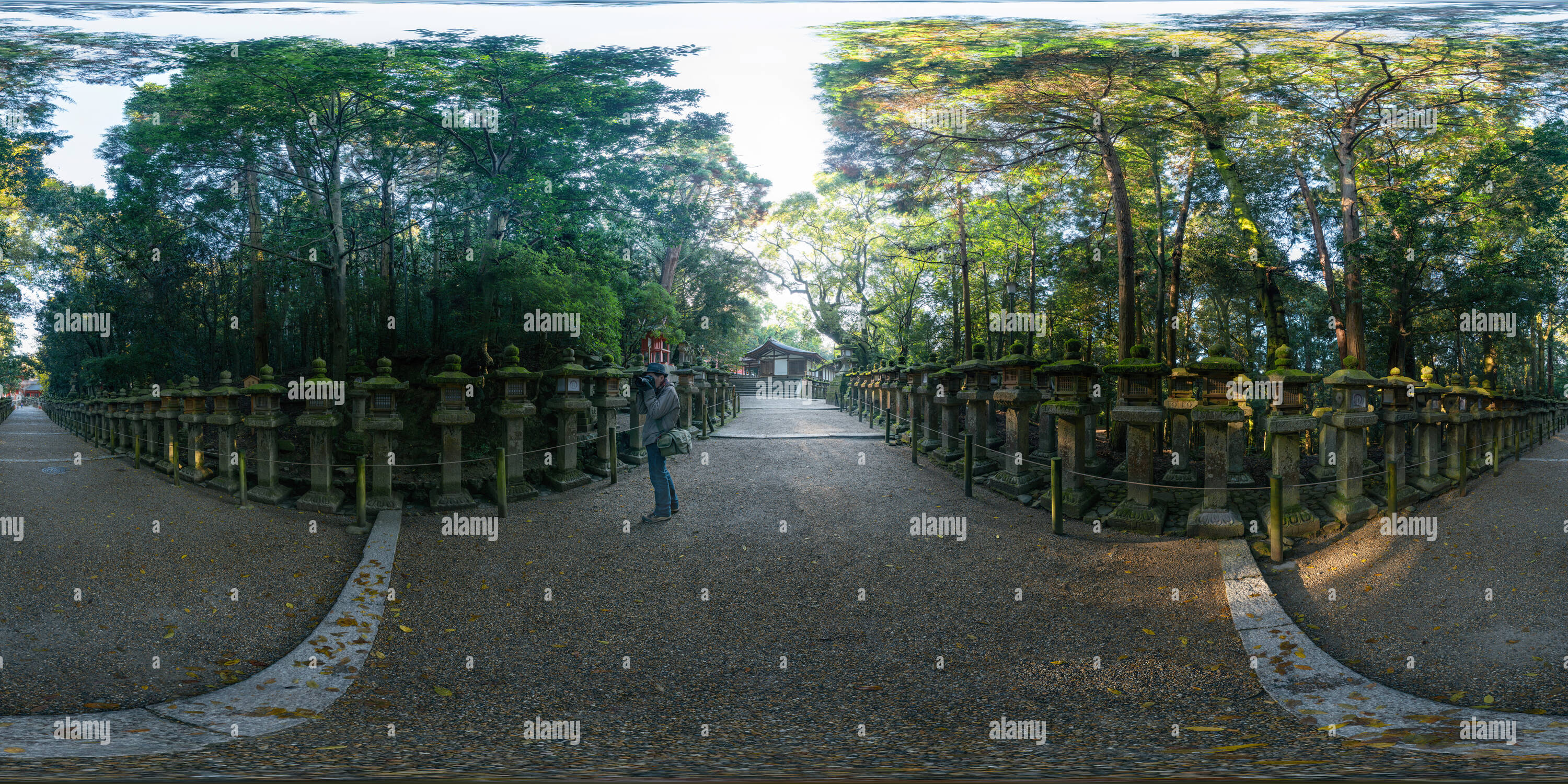 360° view of An approach to the Kasugataisha shrine, Nara, Japan - Alamy