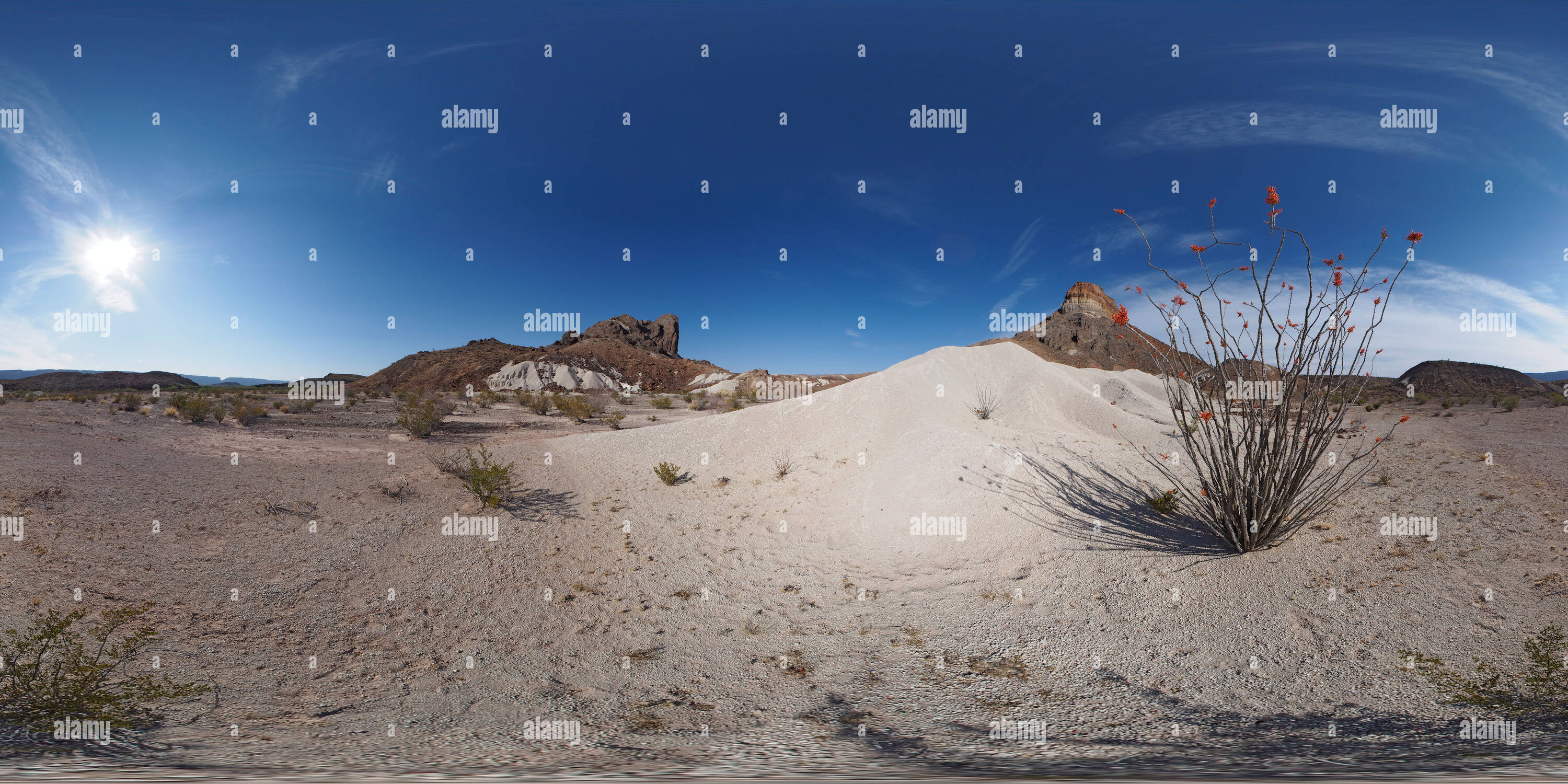 360° view of Castolon Peak and an ocotillo in bloom - Alamy