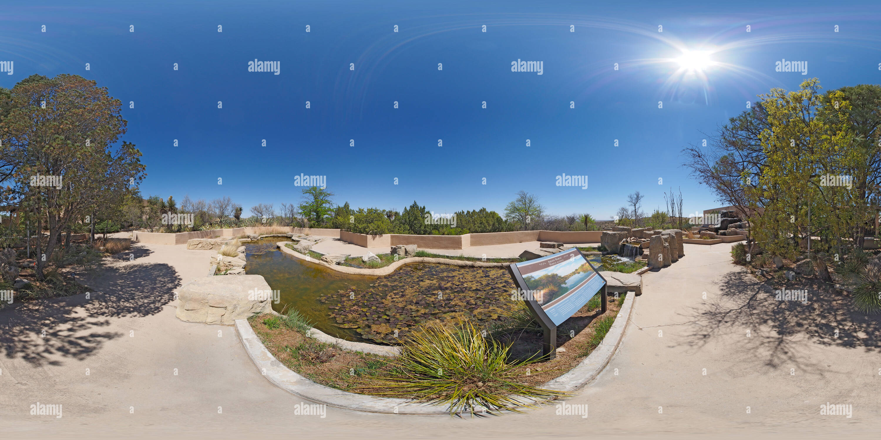 360° view of A small tinaja (natural bedrock pond) habitat - Alamy