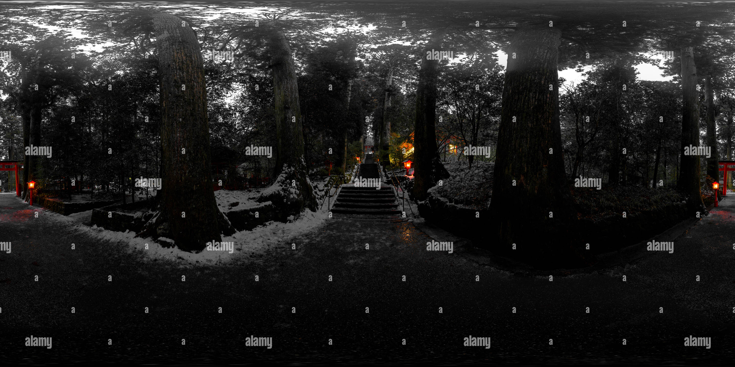 360° view of Approach to Hakone shrine 2 - Alamy