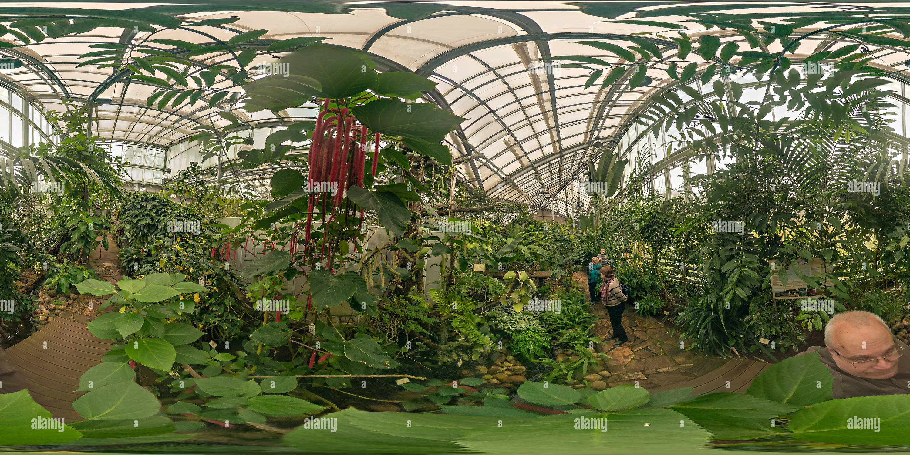 360° view of In the greenhouses of the Tallinn Botanical garden - Alamy