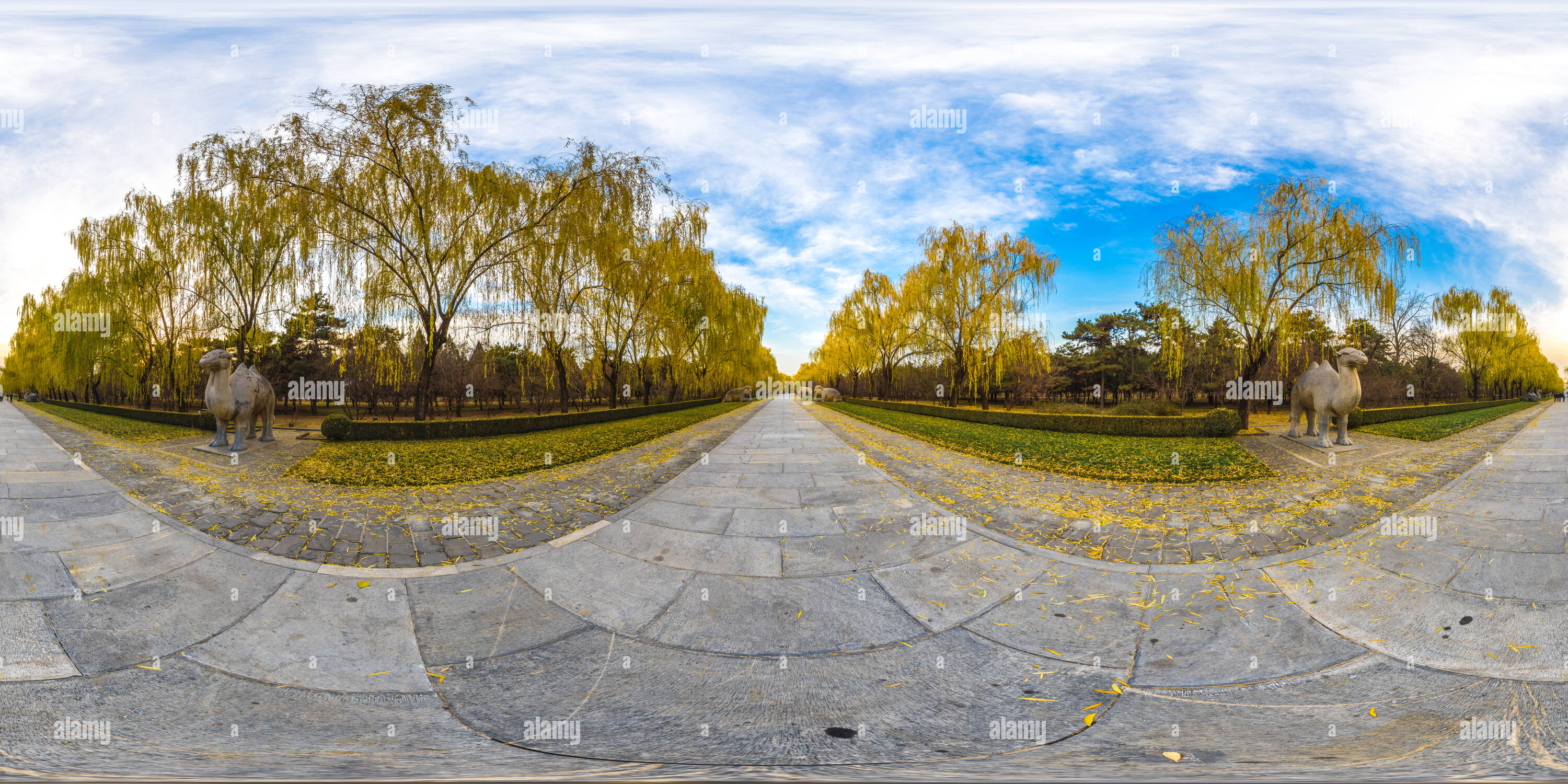 360° view of Seelenweg, Spirit Way, 神道 6 - Alamy