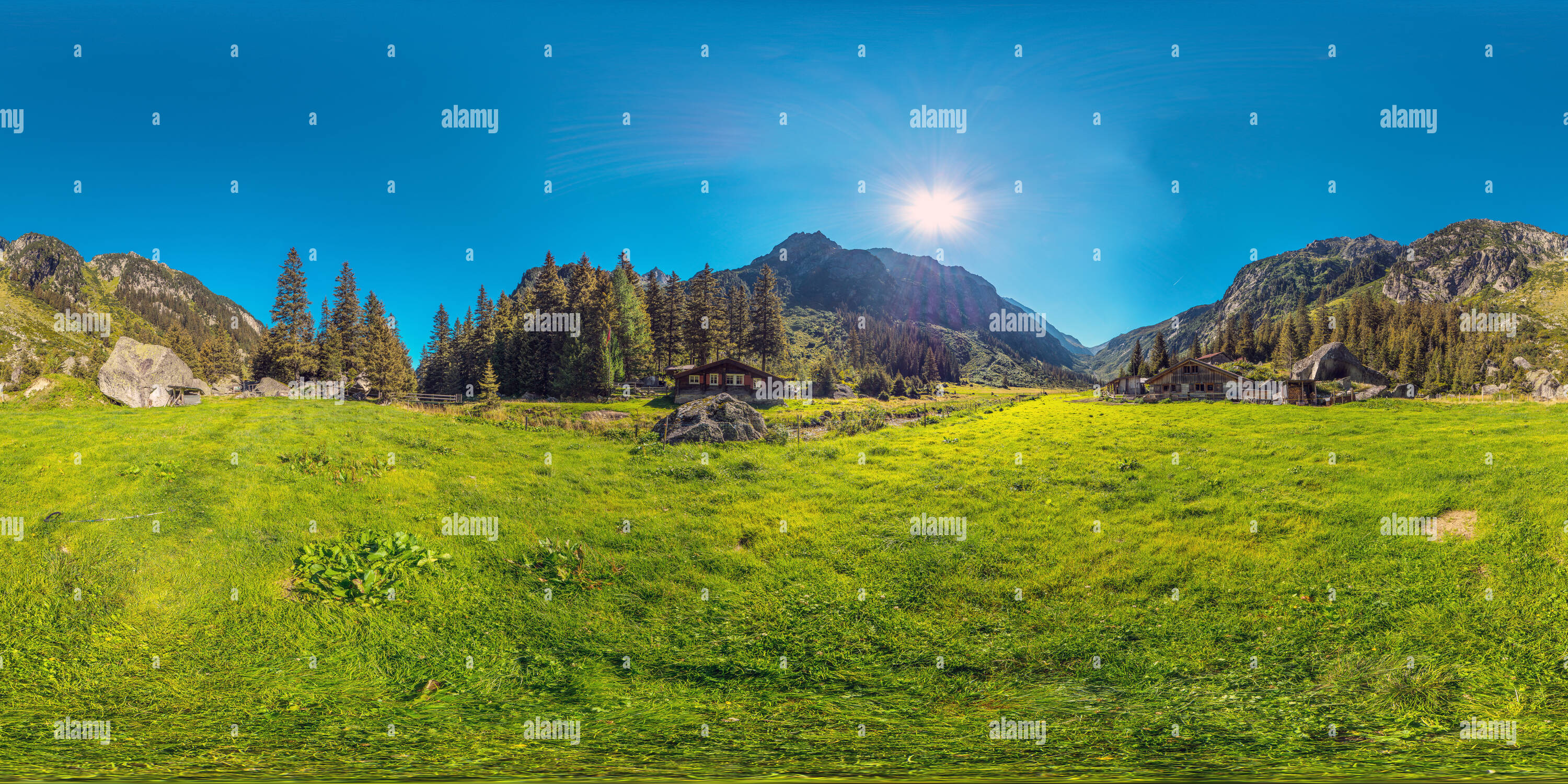 Felli hi-res stock photography and images - Alamy