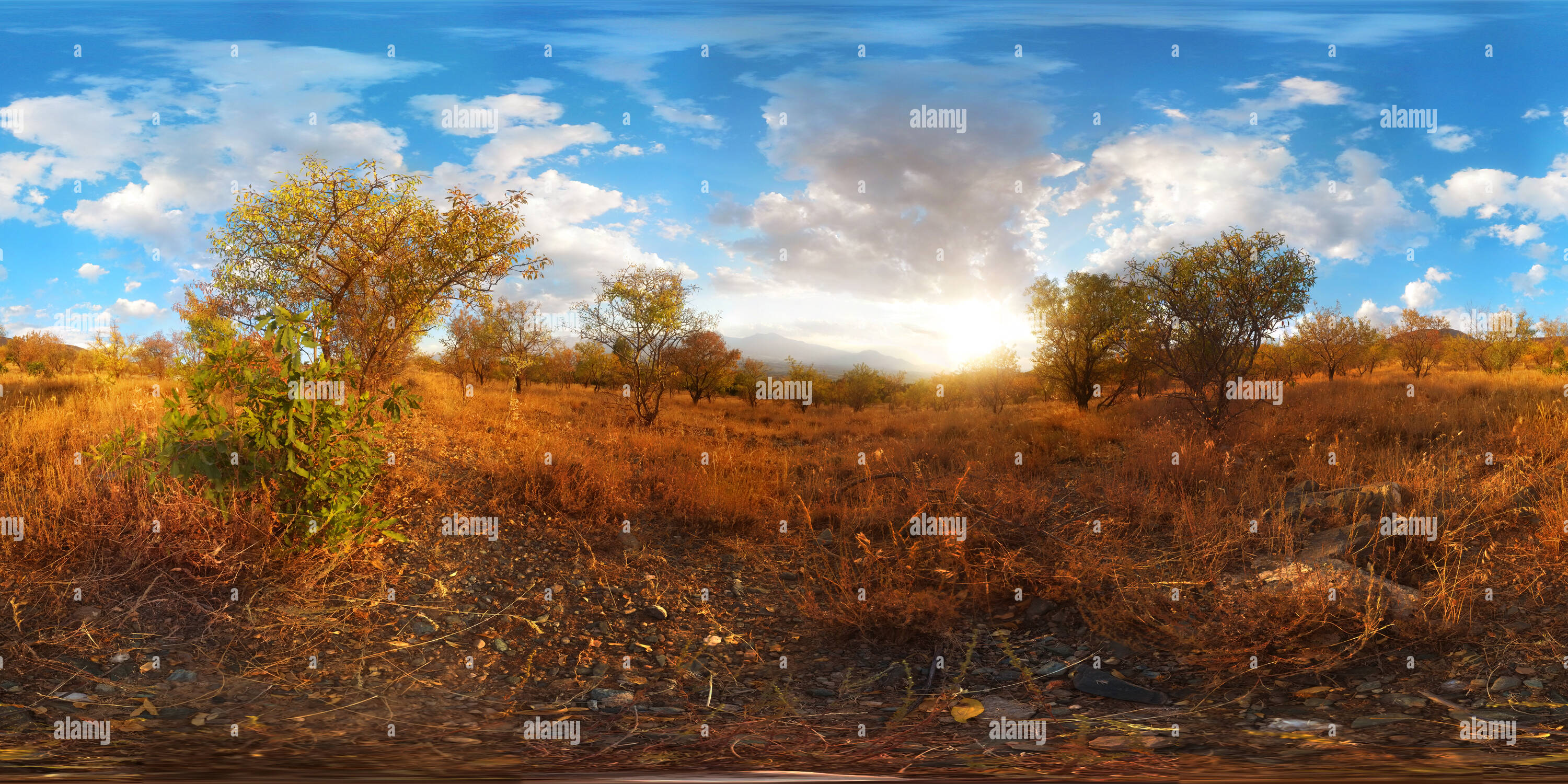 360° view of Uzumlu'den Erzincan ovasina bakis (mukail akdag - Alamy