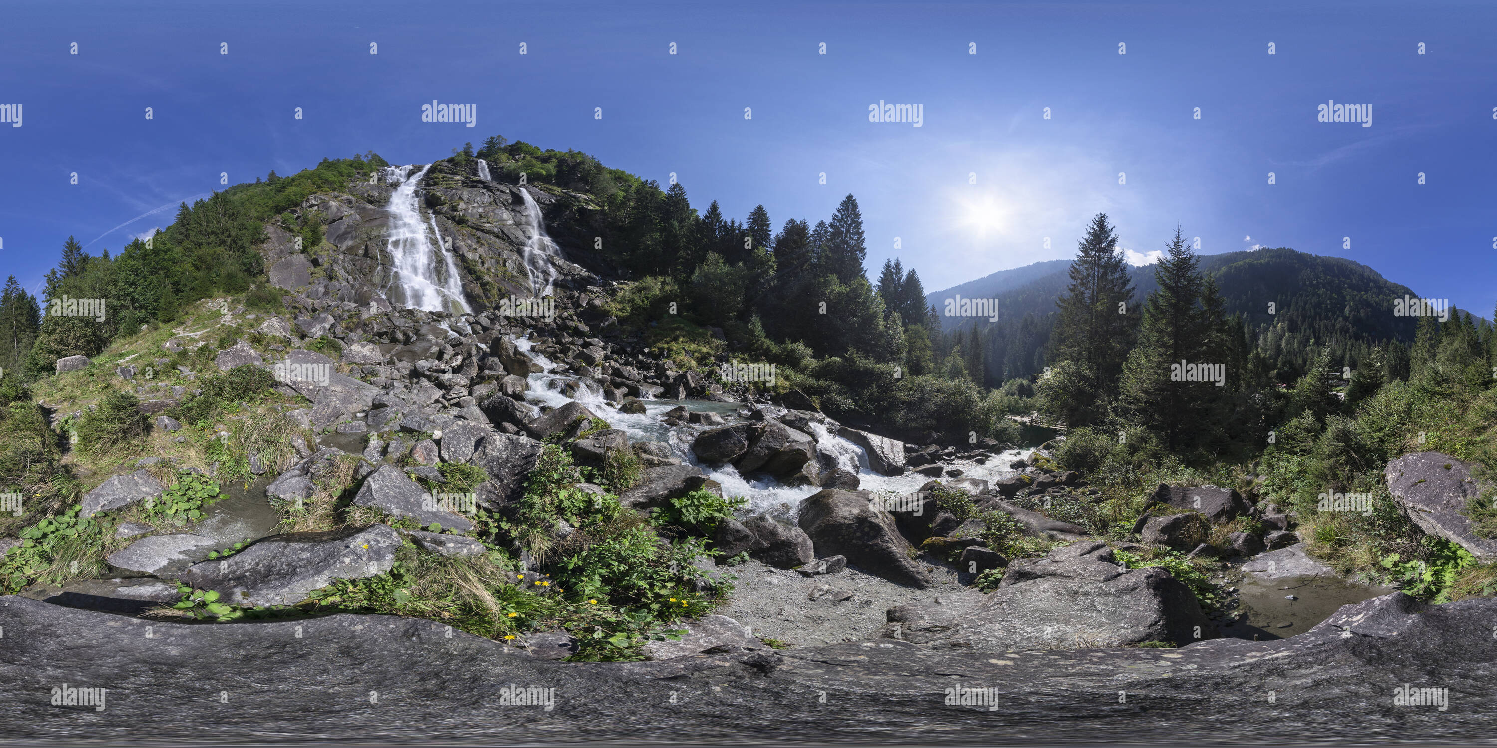 Nardis Stock Photos & Nardis Stock Images - Alamy