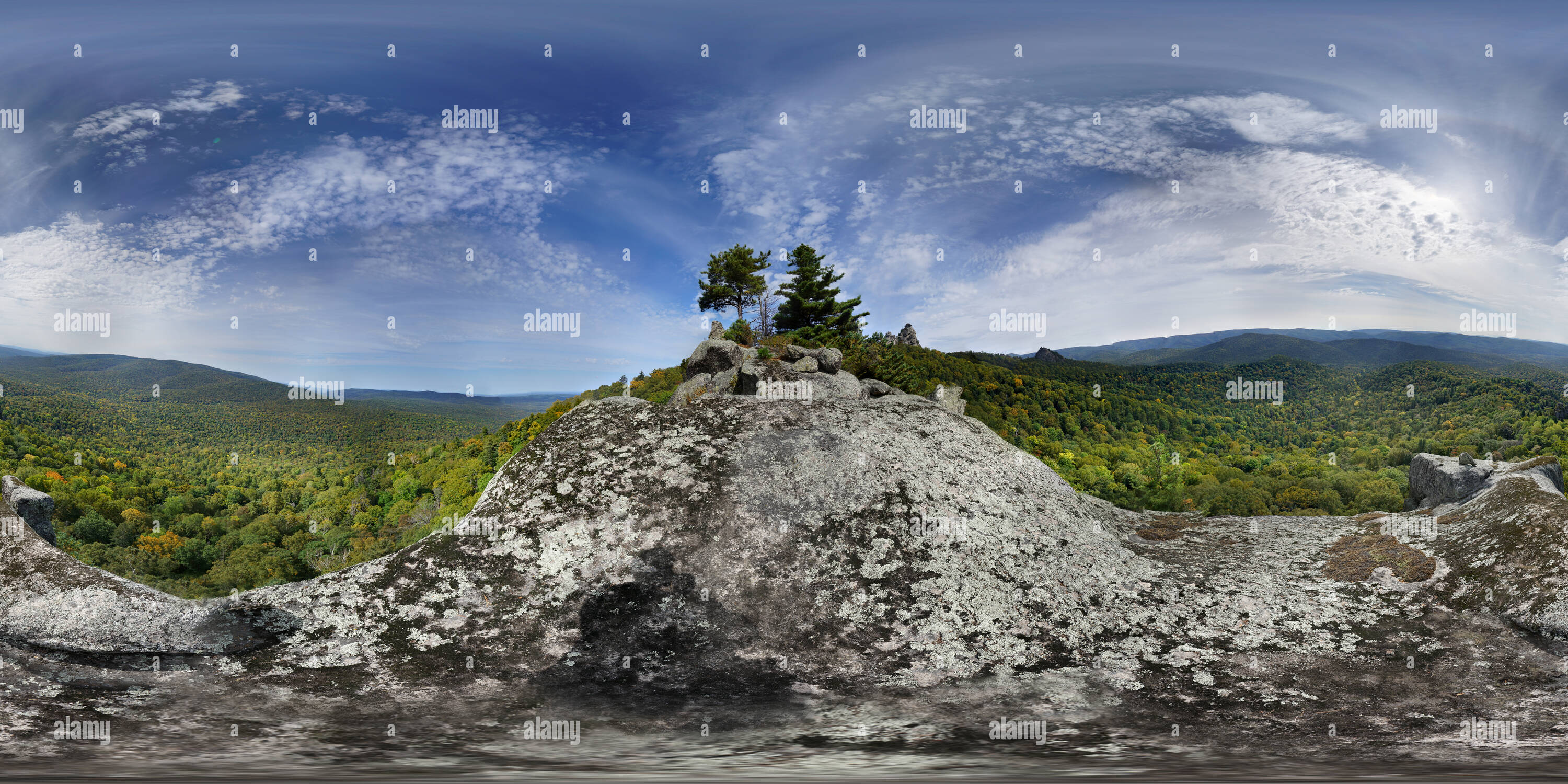 Tigerhome hi-res stock photography and images - Alamy