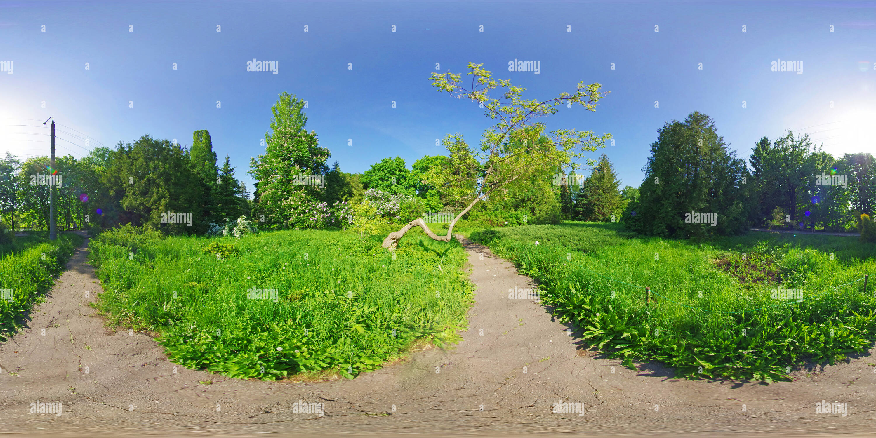 360° view of Samara Botanical Garden 7 - Alamy