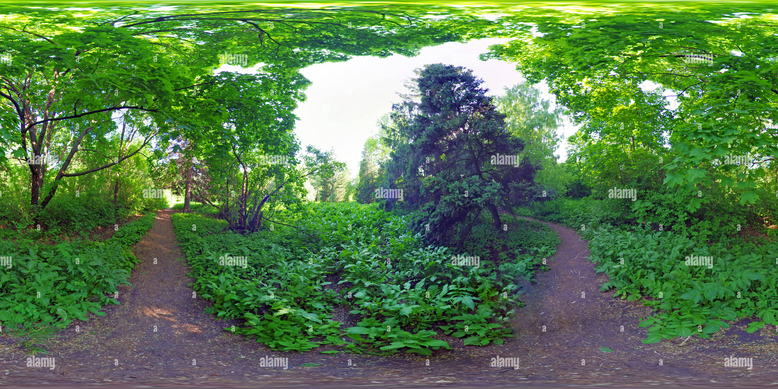 360° view of Samara Botanical Garden 2 - Alamy