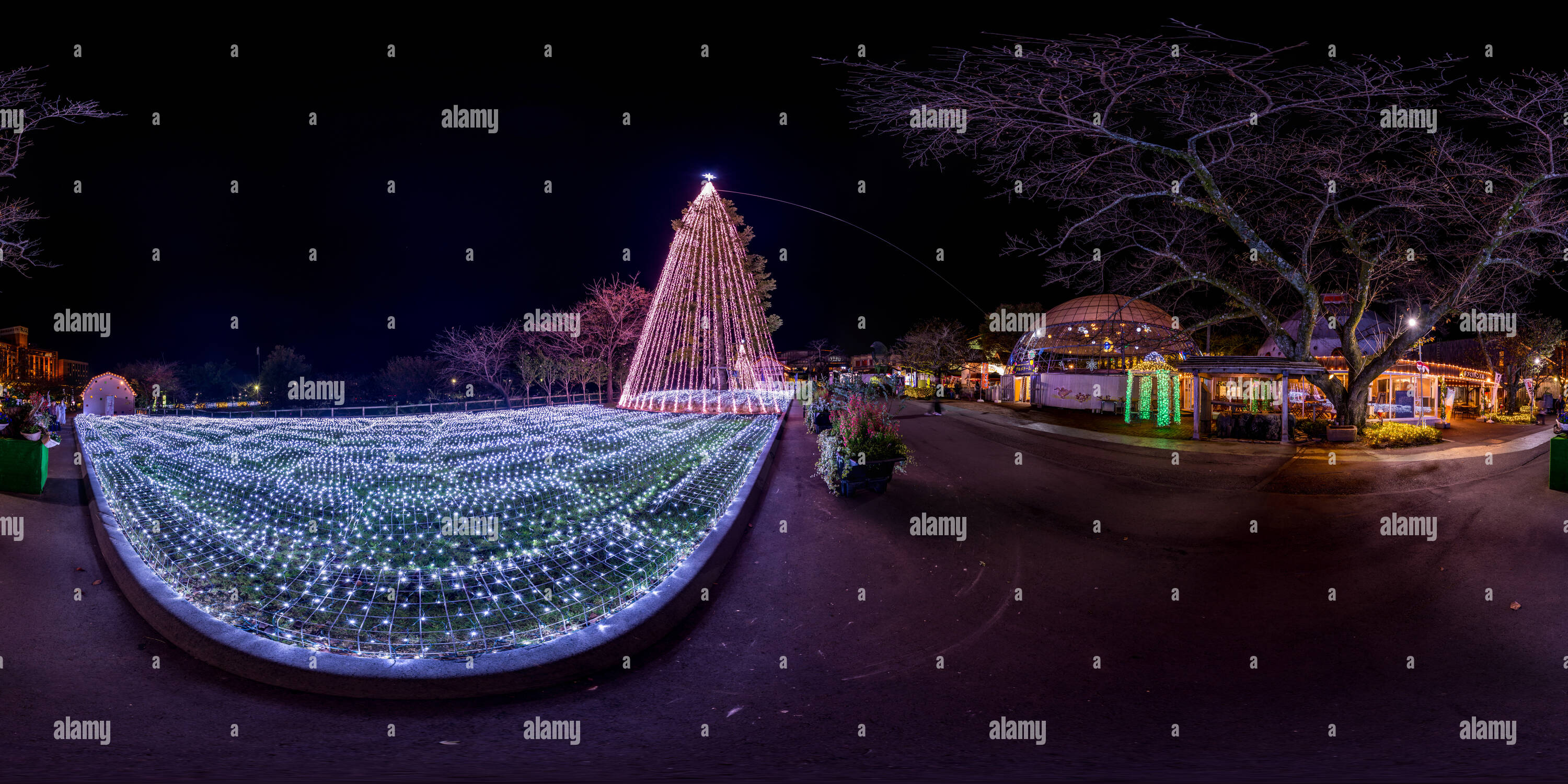 Sumika hi-res stock photography and images - Alamy