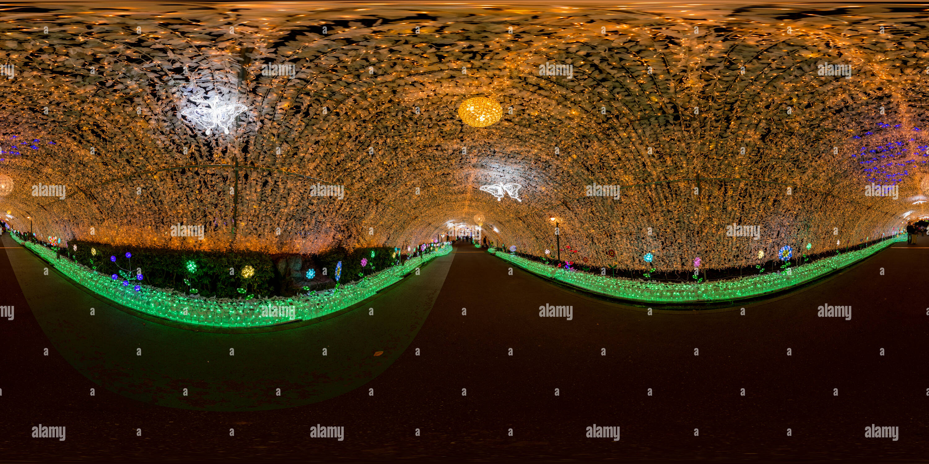 Sumika hi-res stock photography and images - Alamy