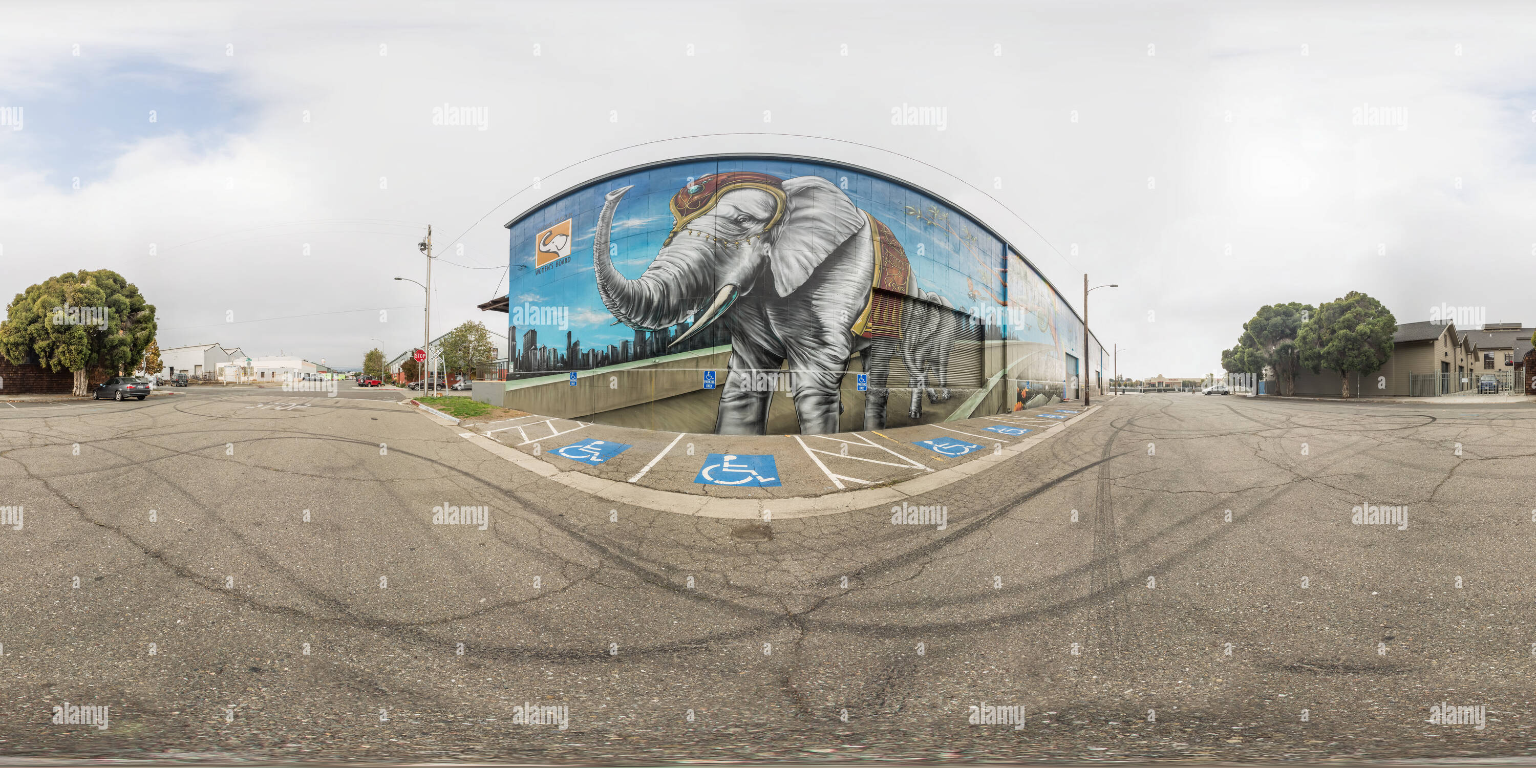 360° view of White Elephant Mural - Alamy