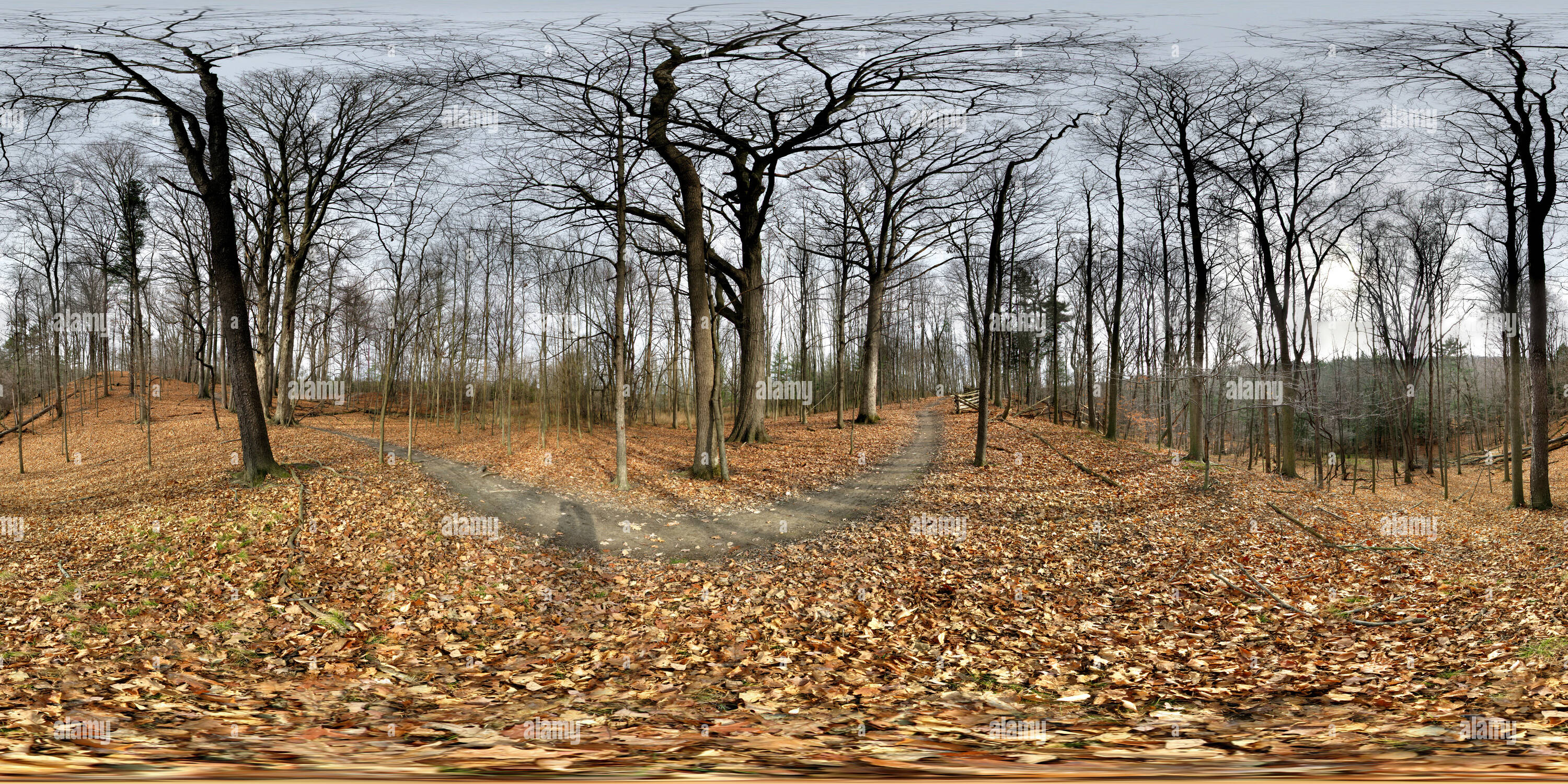 360° view of Groundhog Trail, Dundas Valley, Hamilton, Ontario, Canada ...
