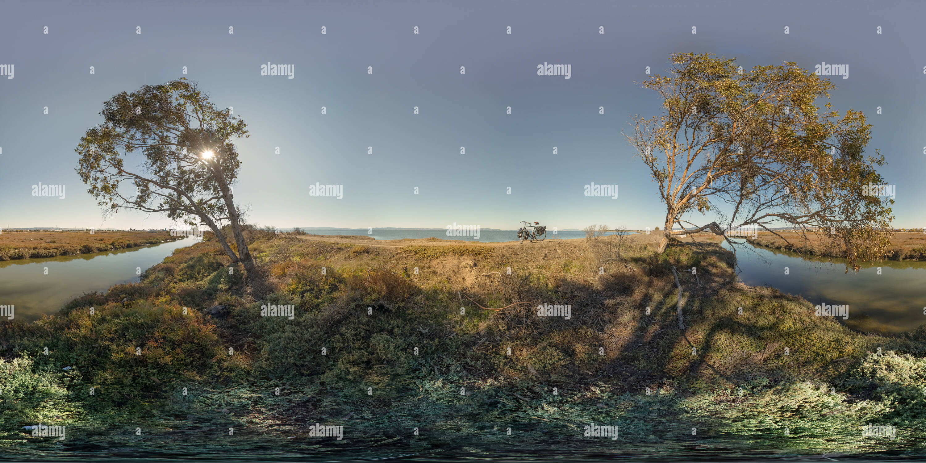 360° view of Bay Trail Trees - Alamy