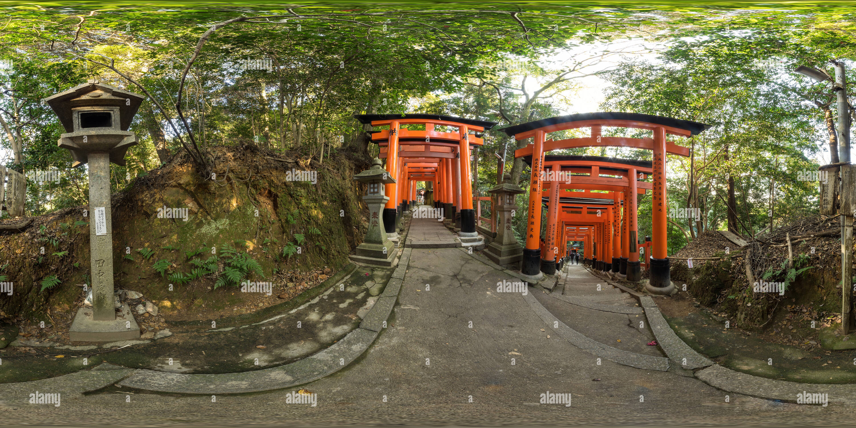 360° view of Fushimi Inari Shrine, Kyoto - Alamy