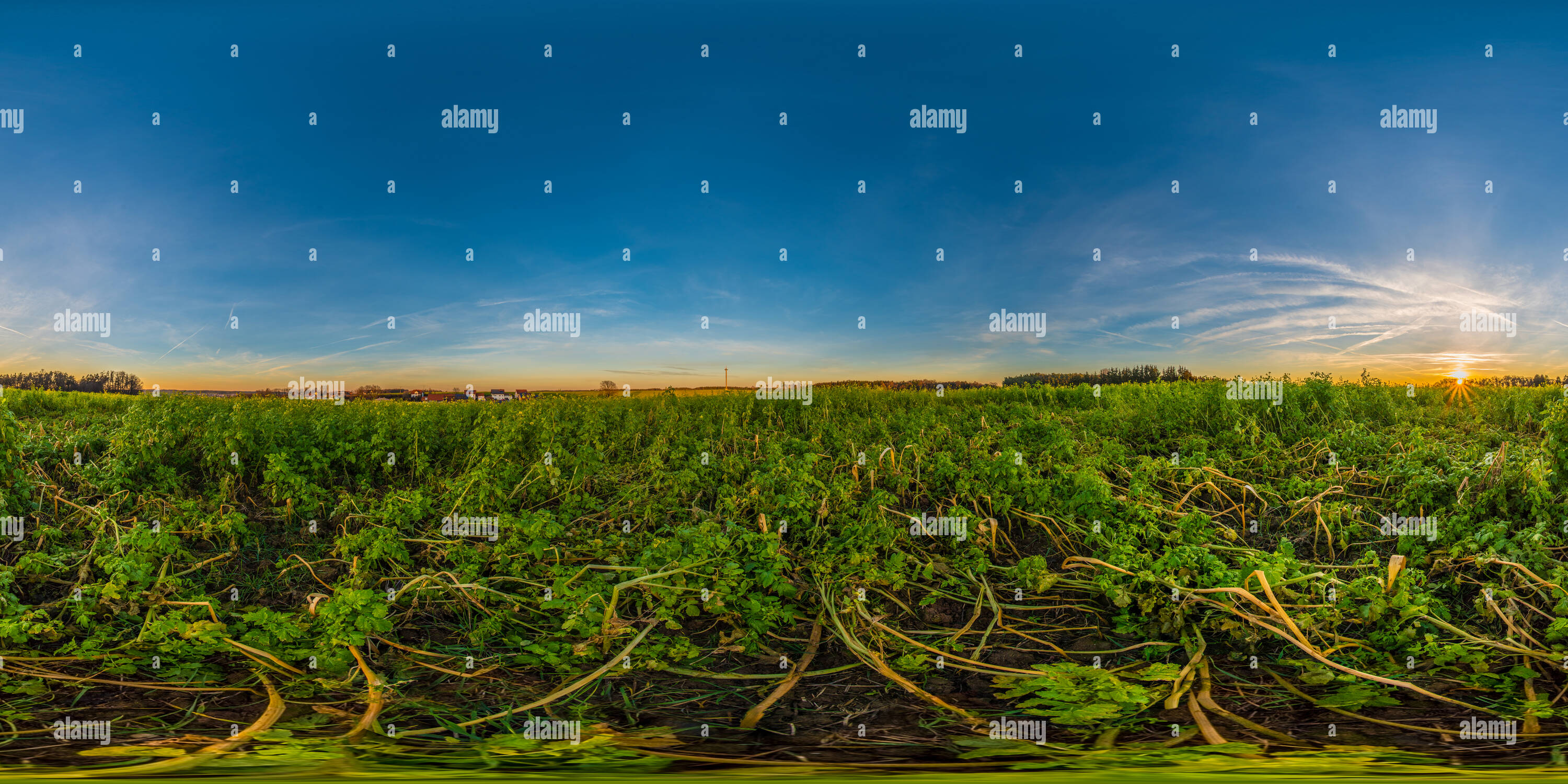 360° view of Sonnenuntergang im Feld bei Ergoldsbach - Alamy