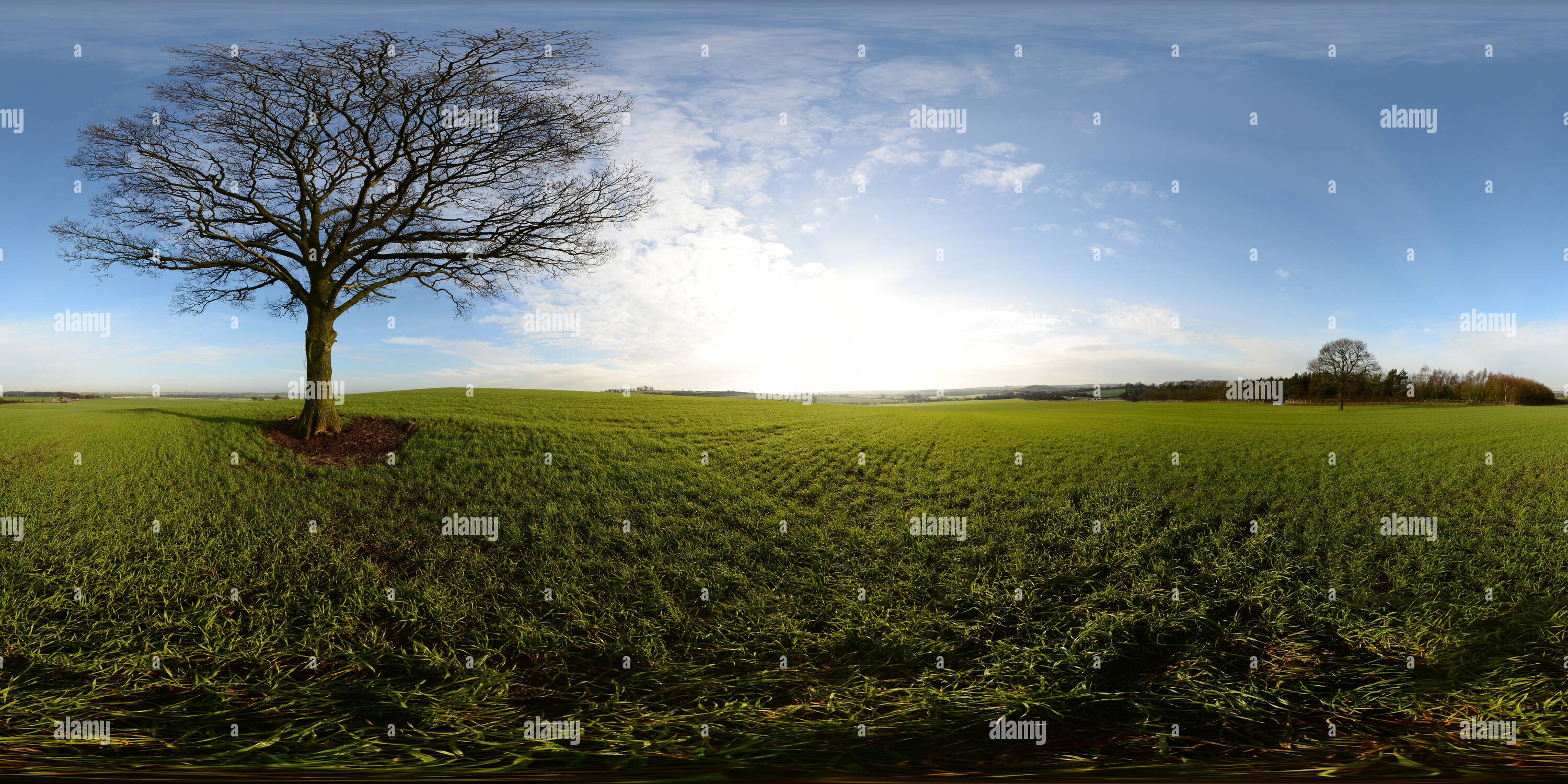 Bramcote hi-res stock photography and images - Alamy