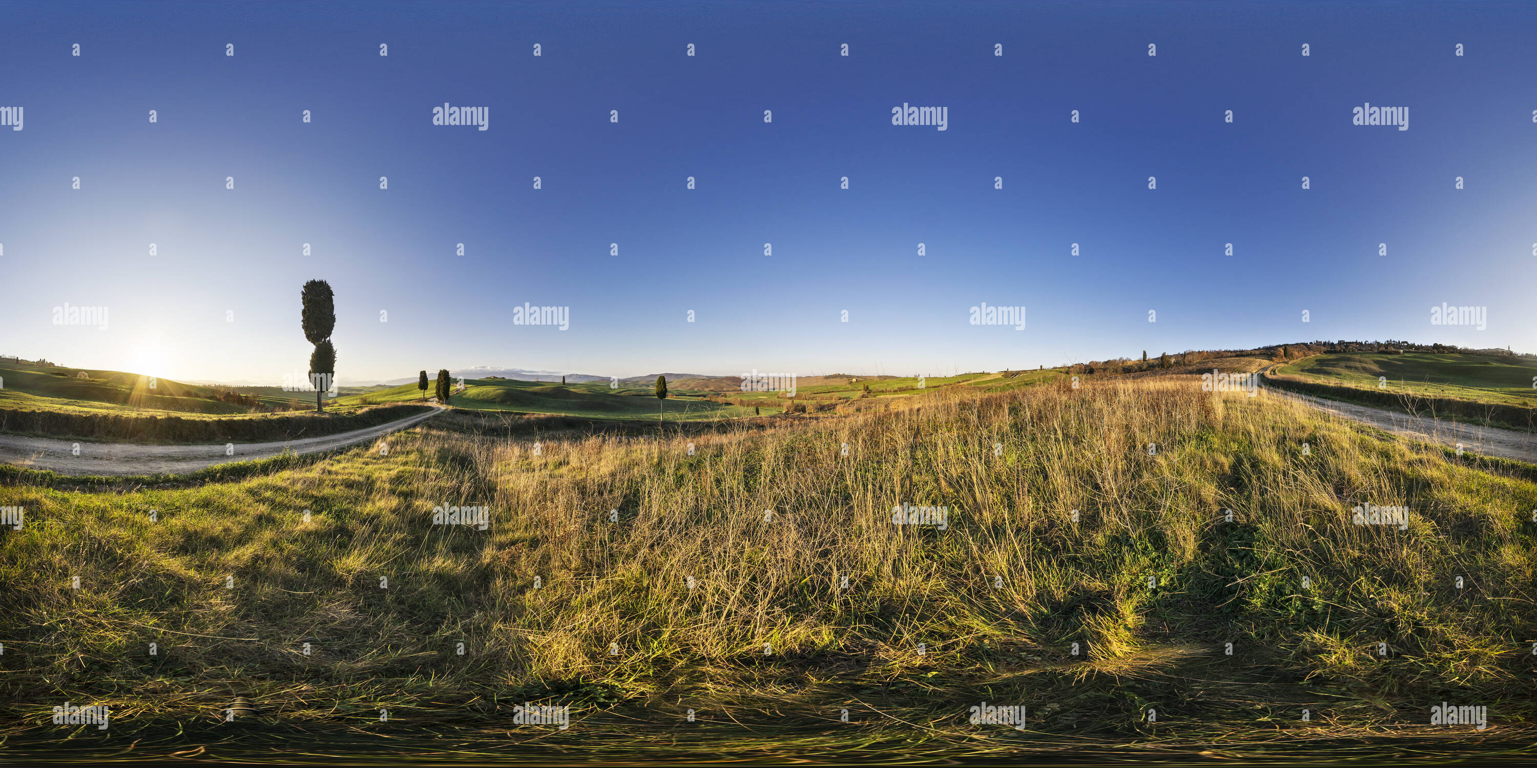 Gladiator movie hi-res stock photography and images - Alamy