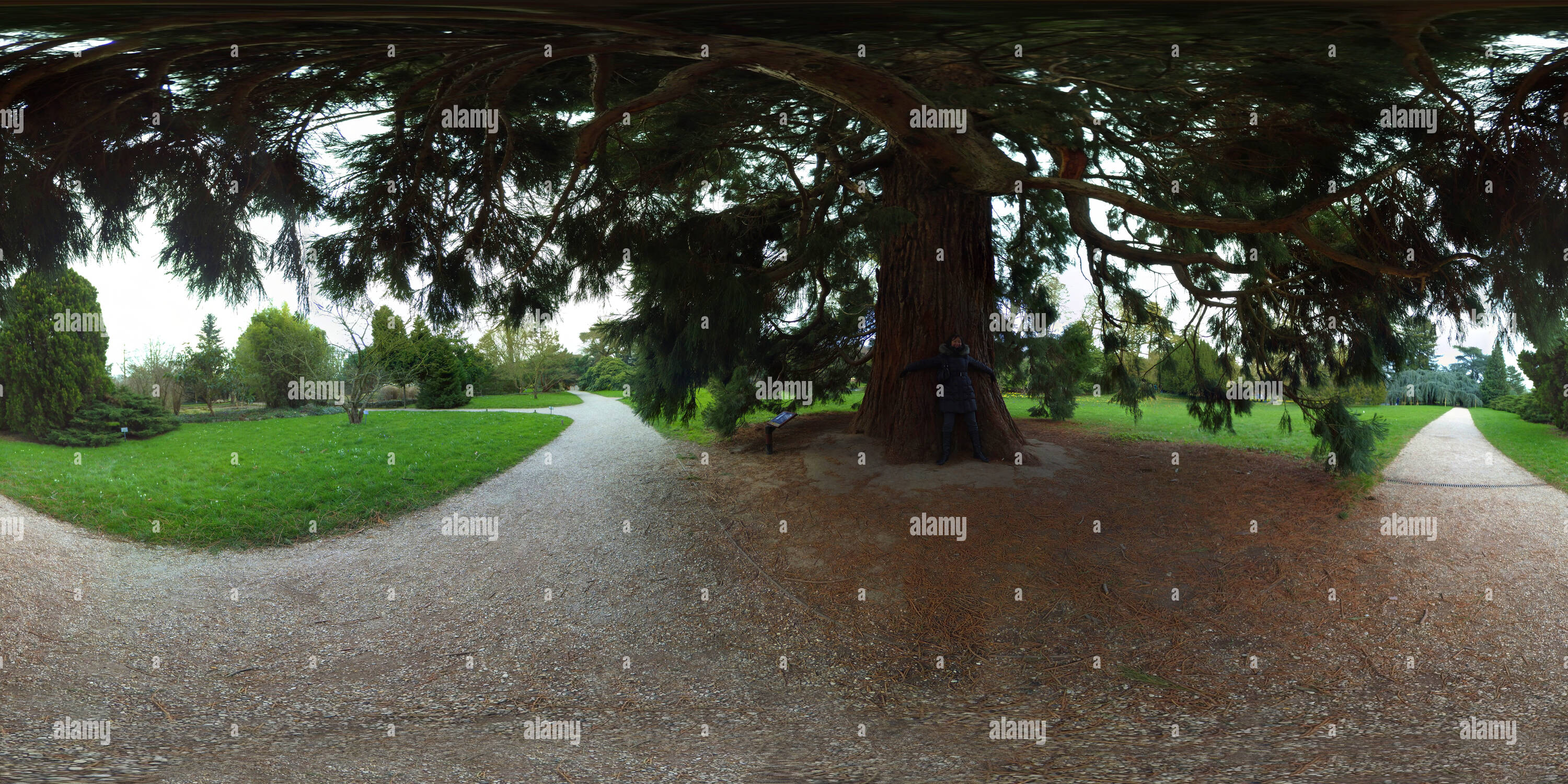 360° view of Arboretum de la vallée aux loups, Chatenay-Malabry - Alamy