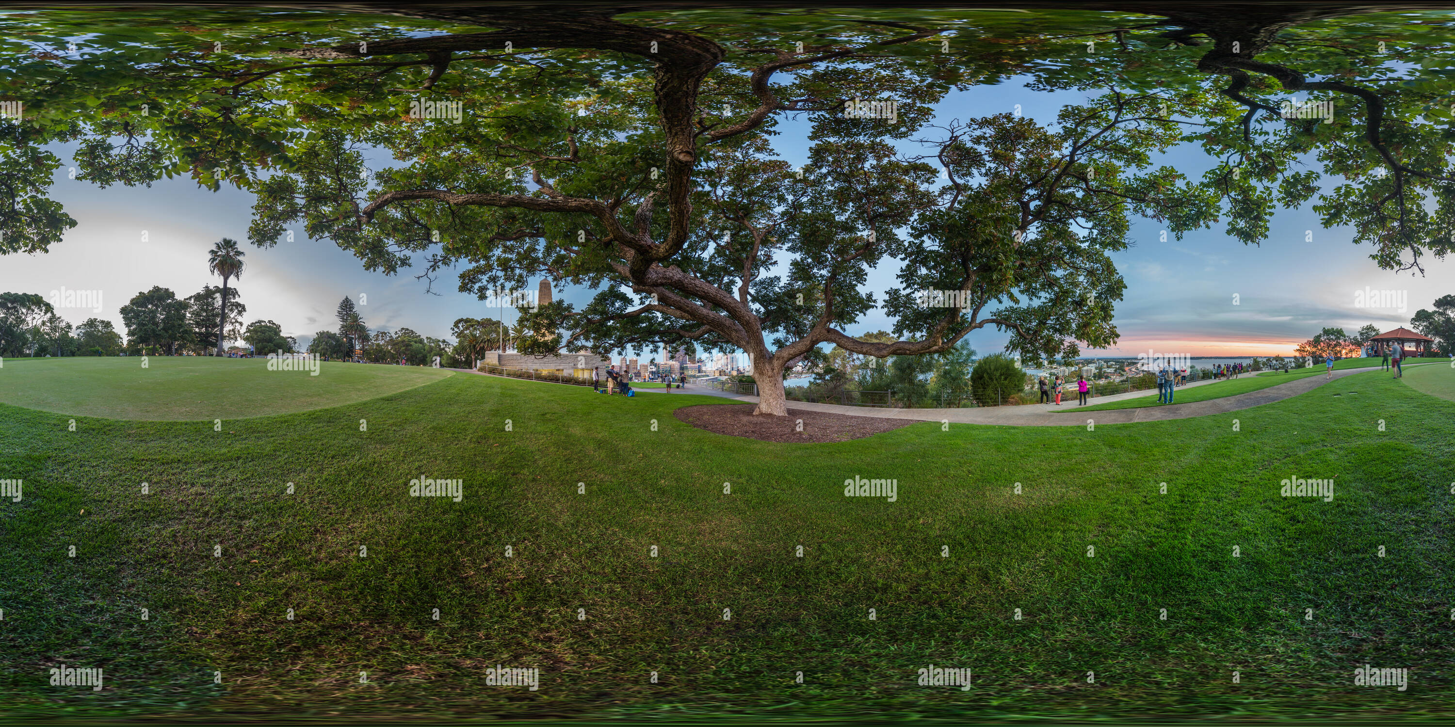 360° view of Under the Tree at Kings Park War Memorial - Alamy