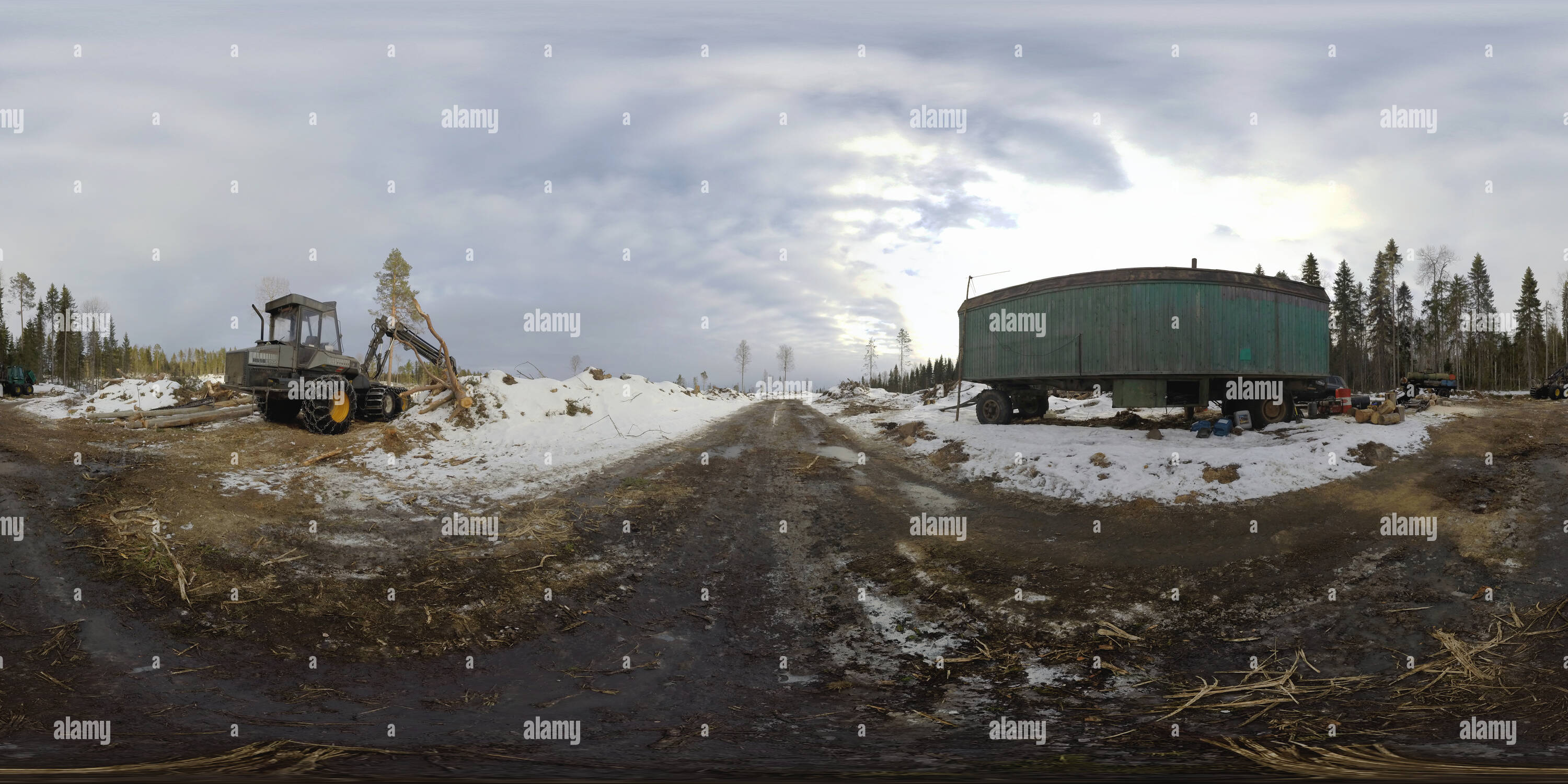 360° view of logging area near Yustozero - Alamy