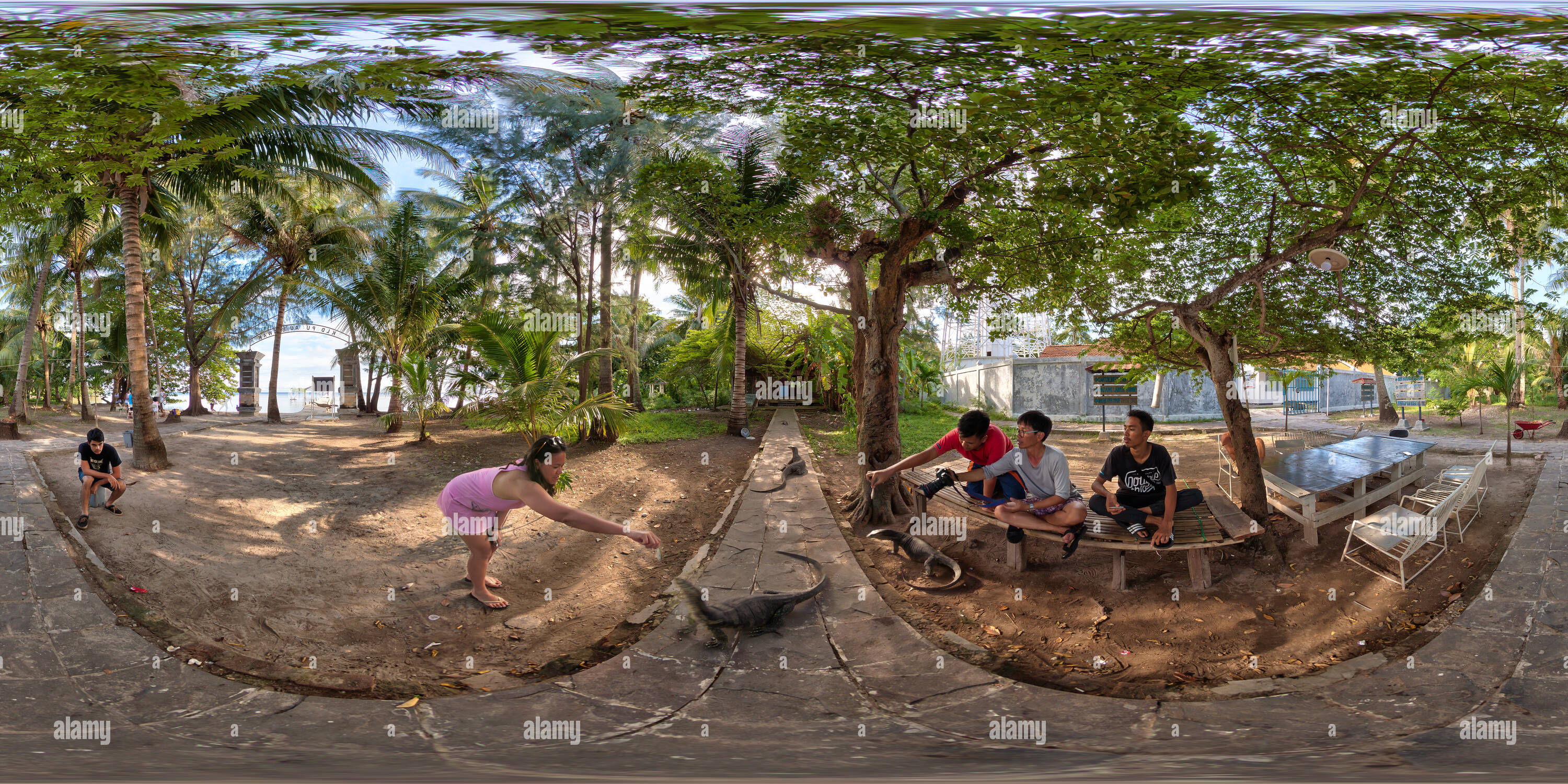 360° view of Feeding Biawak (Monitor Lizard) at Biawak Island - Alamy
