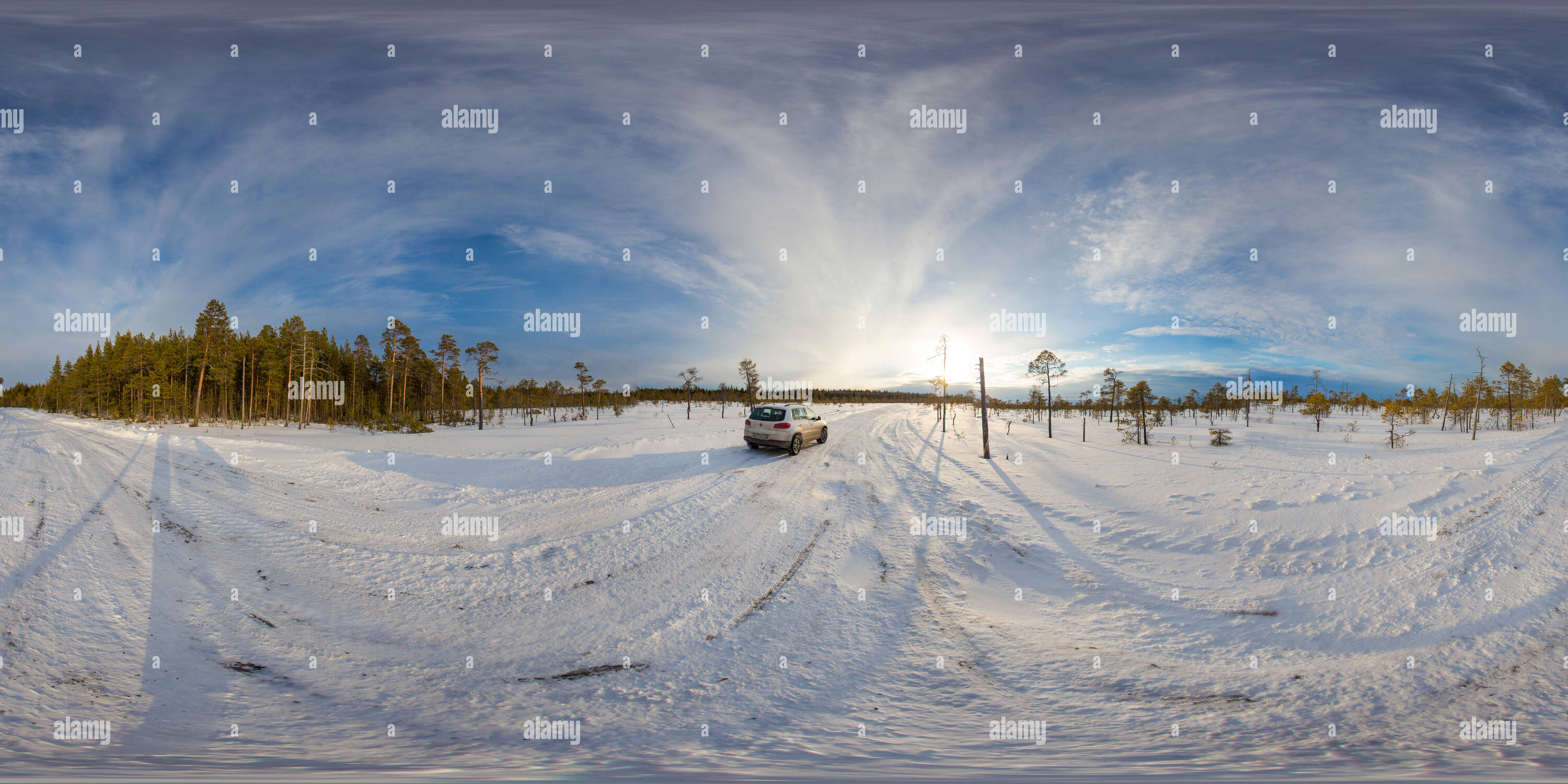 360° view of Winter road through the swamp - Alamy