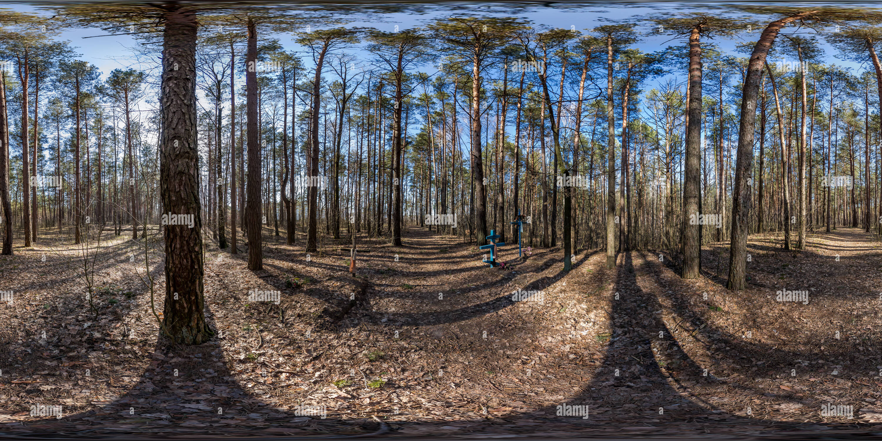 360° view of Novaya Guta Gomelskaya Oblast 06 - Alamy