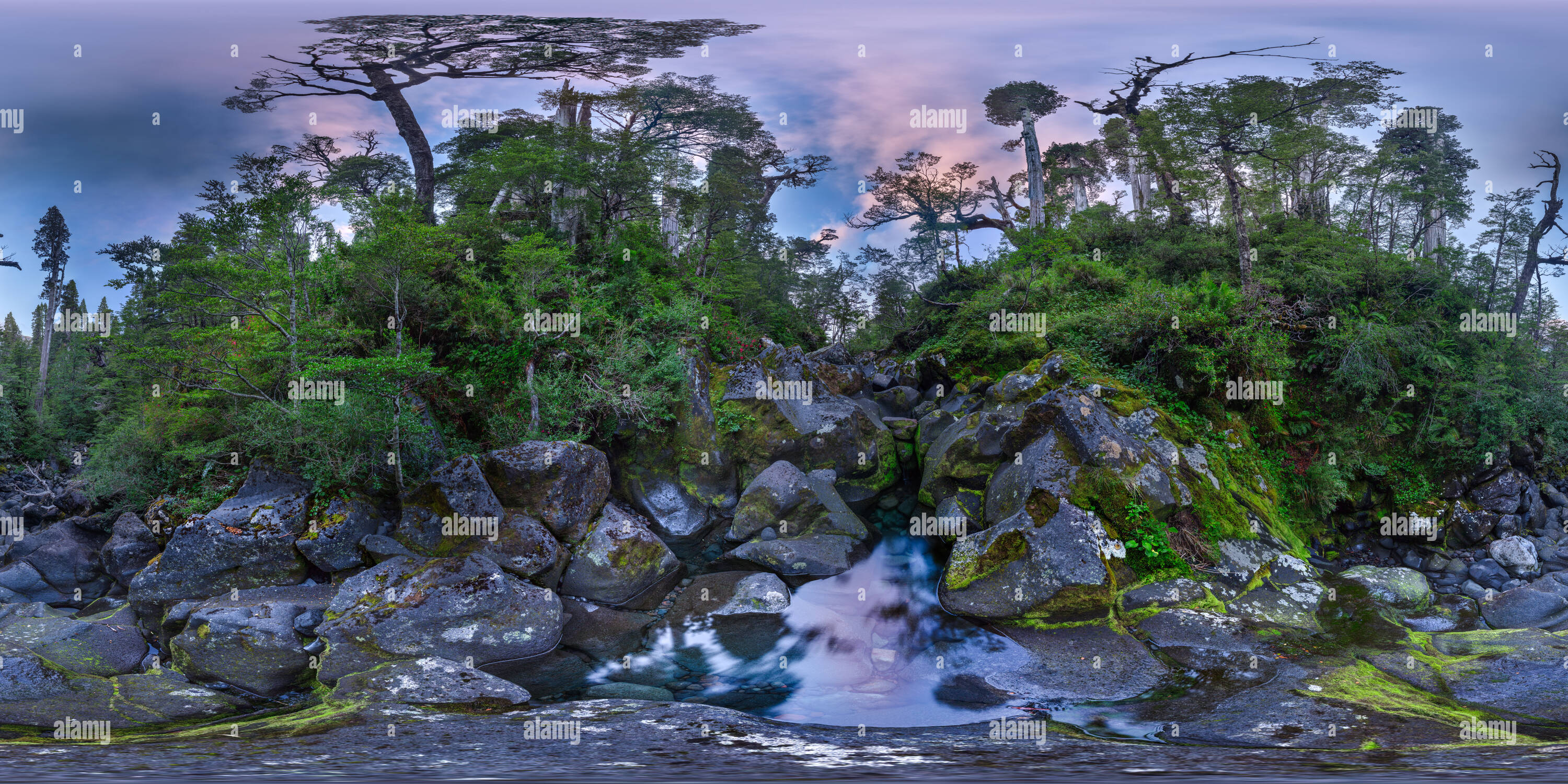 360° view of River Bed, Parque Nacional Hornopiren, Chile - Alamy