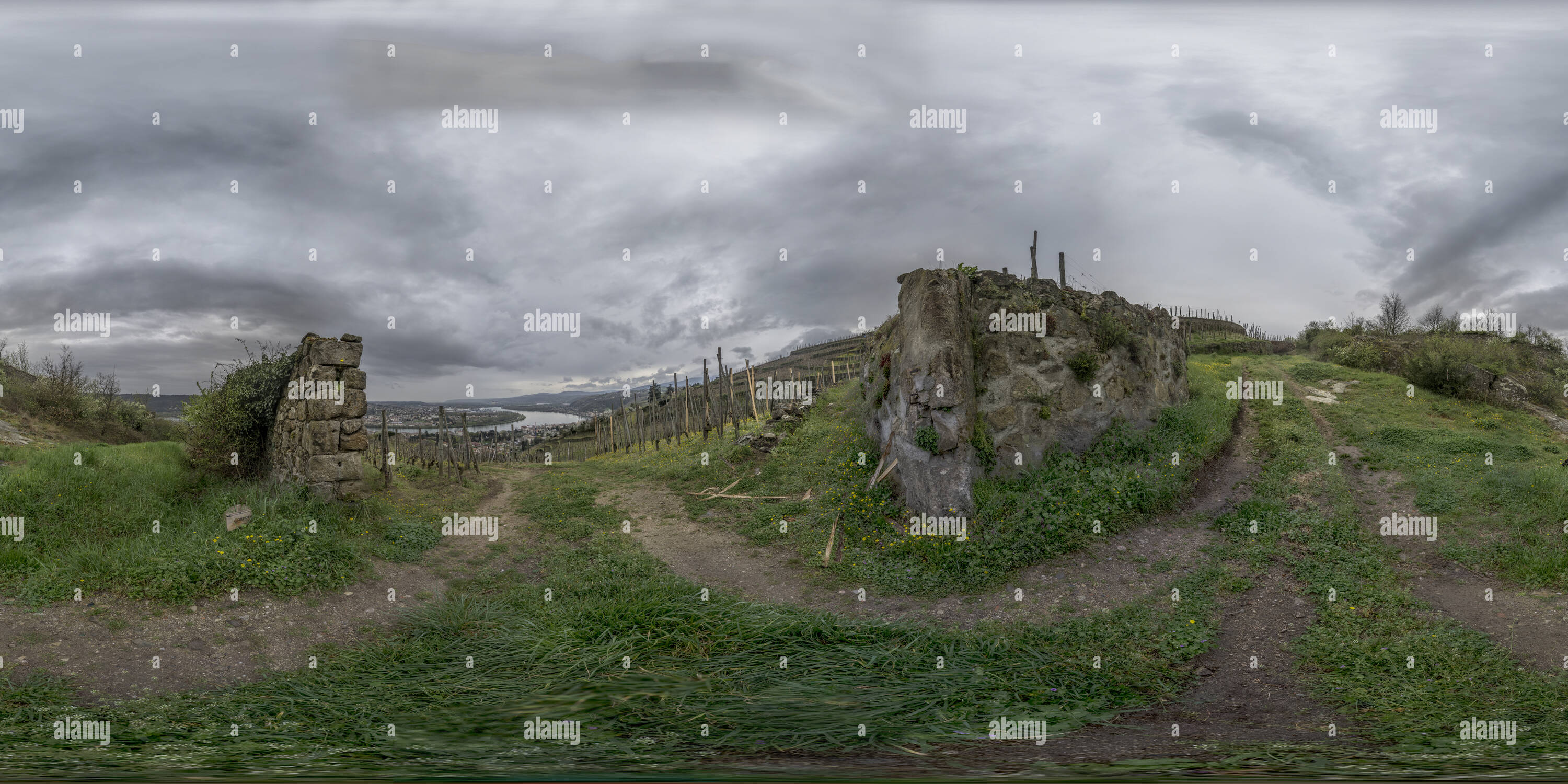 360° view of cotes roties vineyard - Alamy