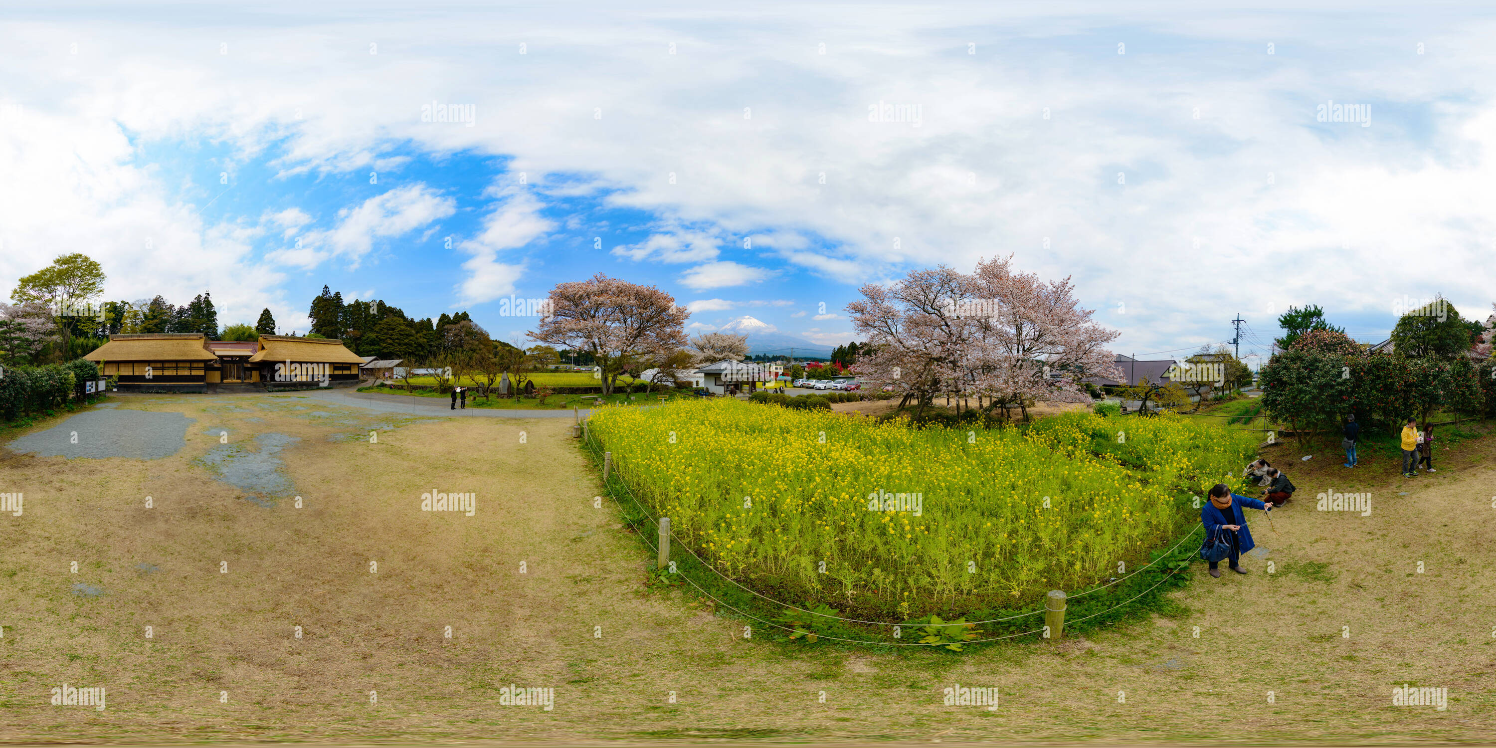 360° view of Geba-zakura in kariyado - Alamy