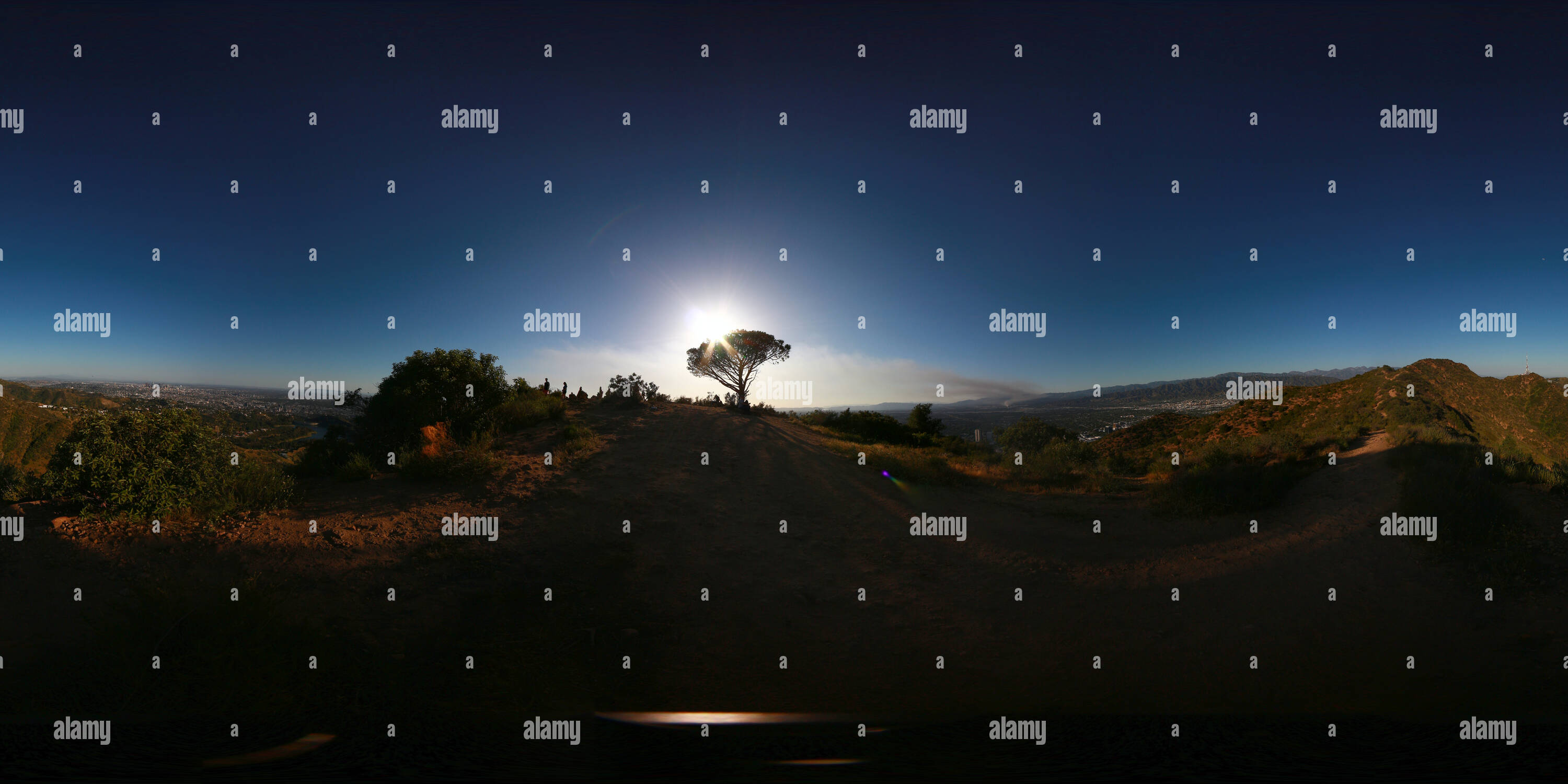 360° view of Tree of Life sunset - Alamy