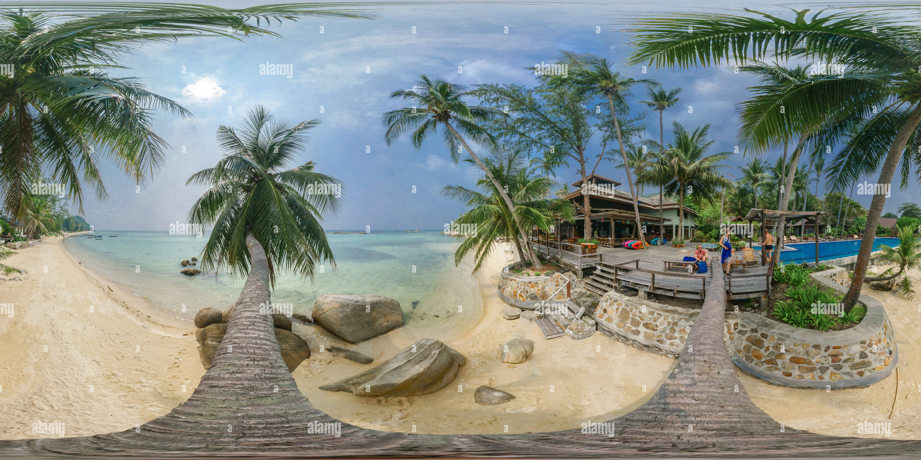 360° view of up the coconut tree over crystal water koh phangan - Alamy