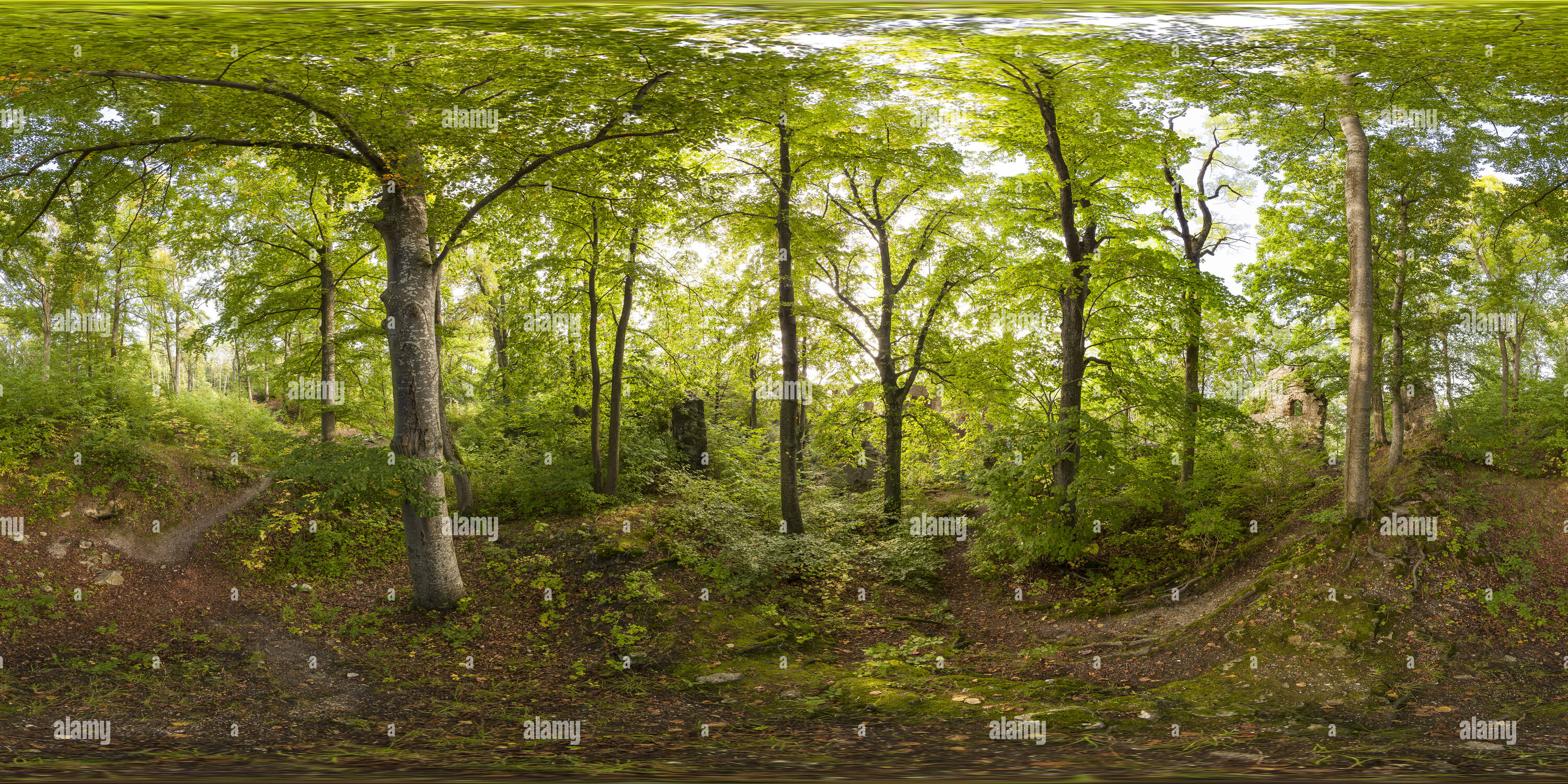 360° view of Burgruine Hochhaus-Wald im Burghof - Alamy