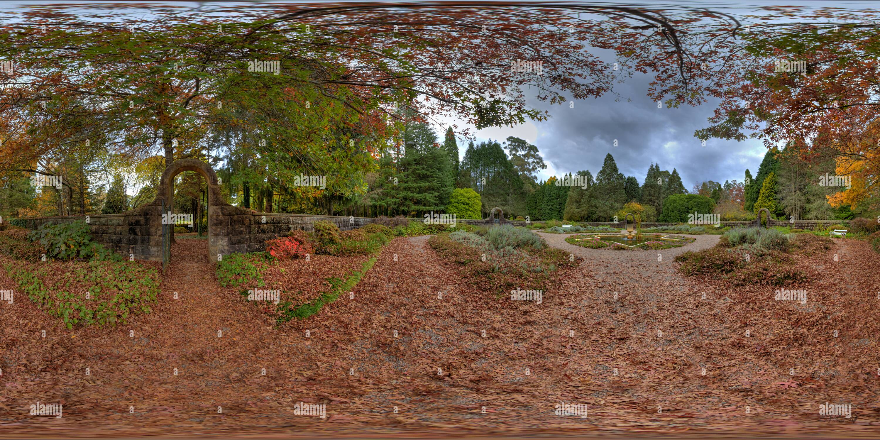 Mount wilson nsw australia hi-res stock photography and images - Alamy