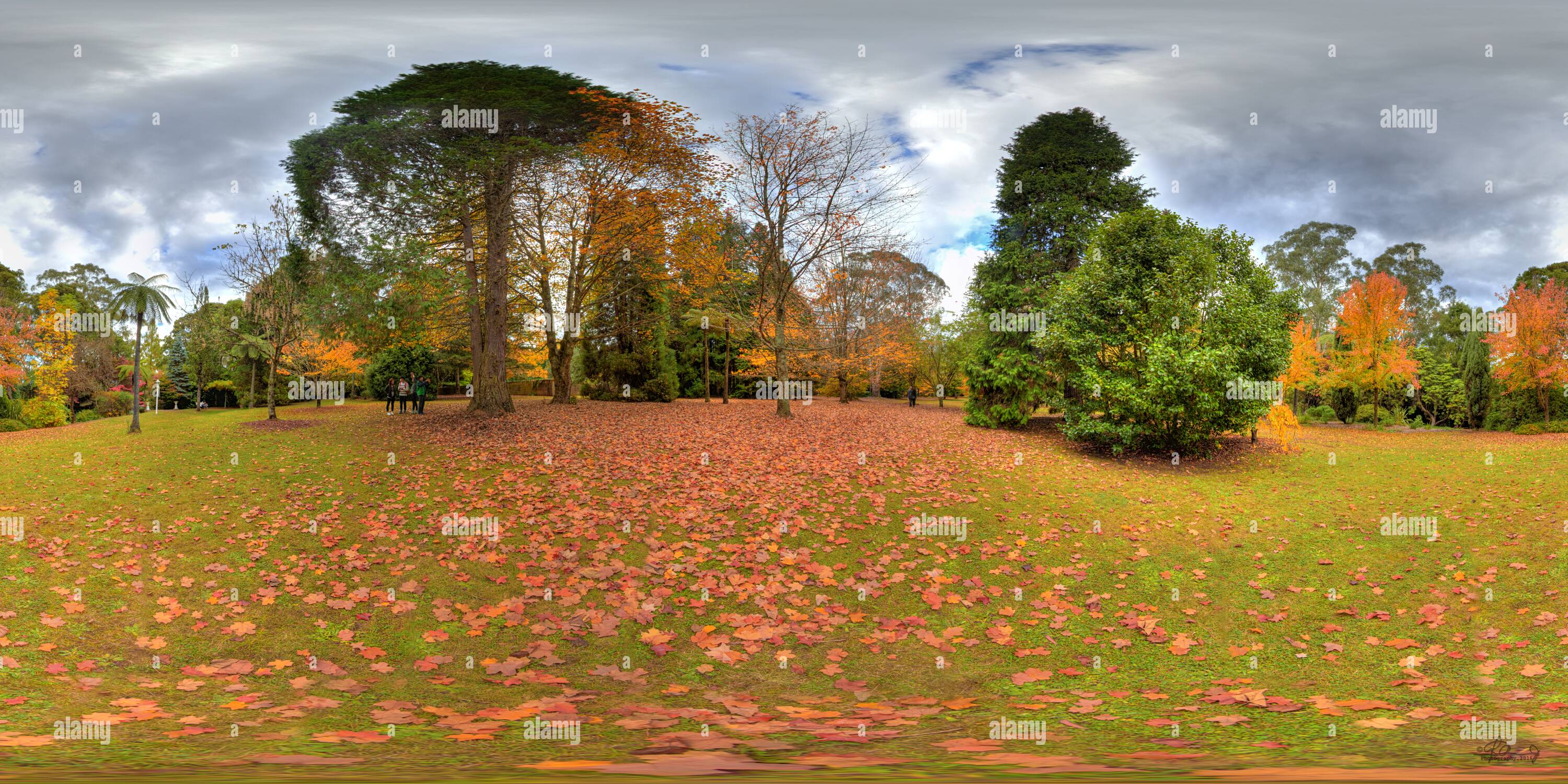360° view of Autumn at Mount Wilson - April 2016 (3 of 4 - Alamy